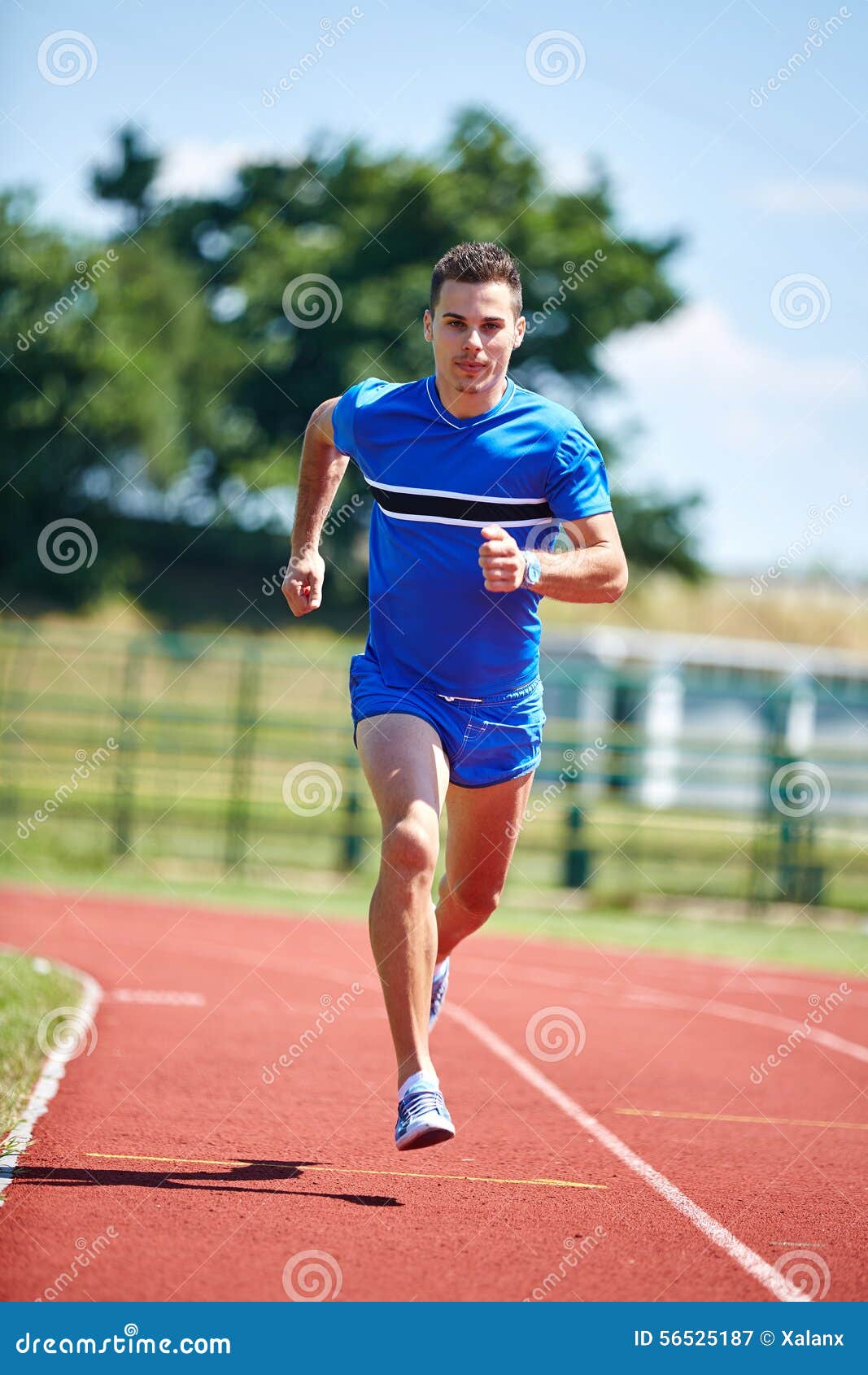 Runner sprinting stock image. Image of athletic, adult - 56525187