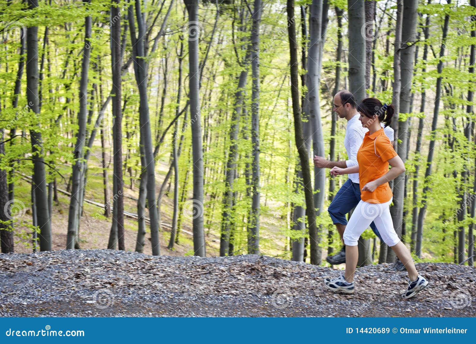 Runners in forest stock image. Image of attractive, adult - 14420689