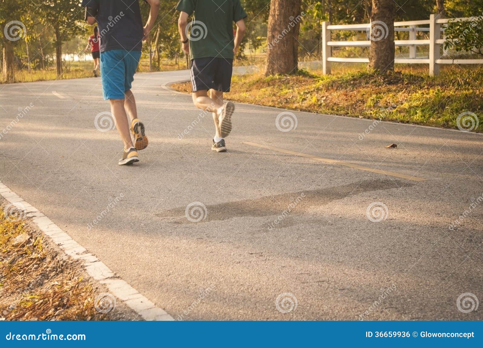 Runners in the morning stock photo. Image of female, road - 36659936