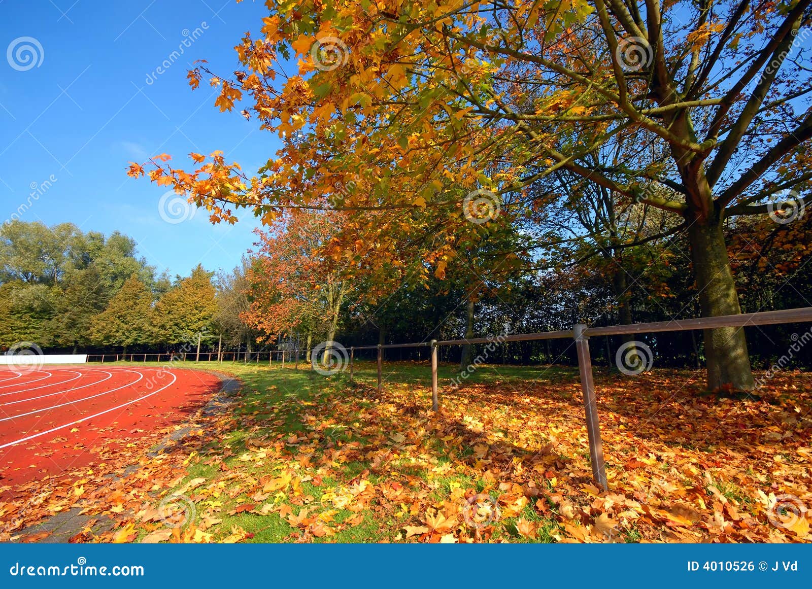 Runners Racetrack Surrounded By Trees Stock Photography | CartoonDealer ...