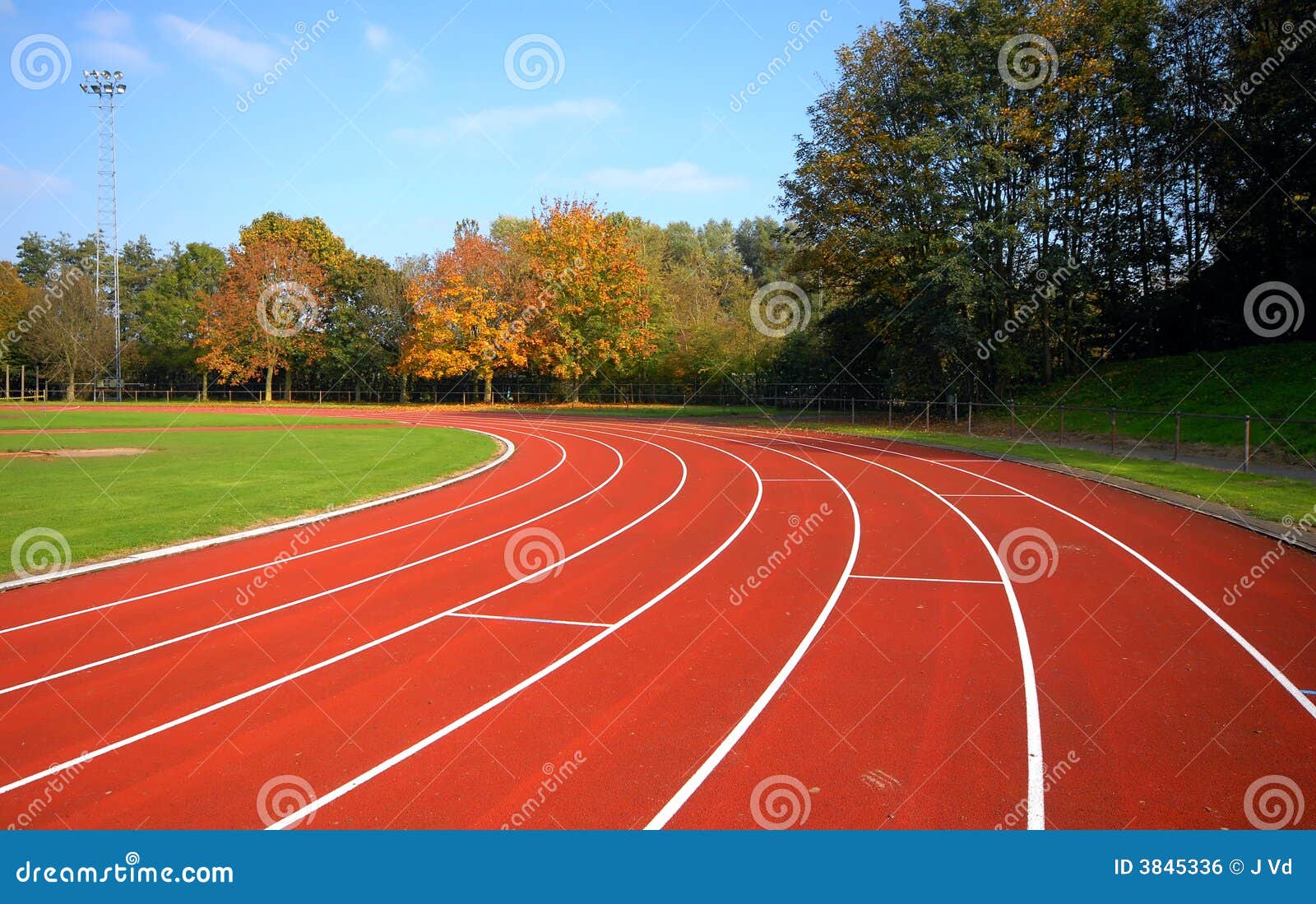Runners Racetrack Surrounded by Trees Stock Photo - Image of ...