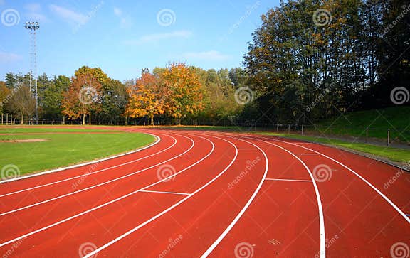 Runners Racetrack Surrounded by Trees Stock Photo - Image of ...