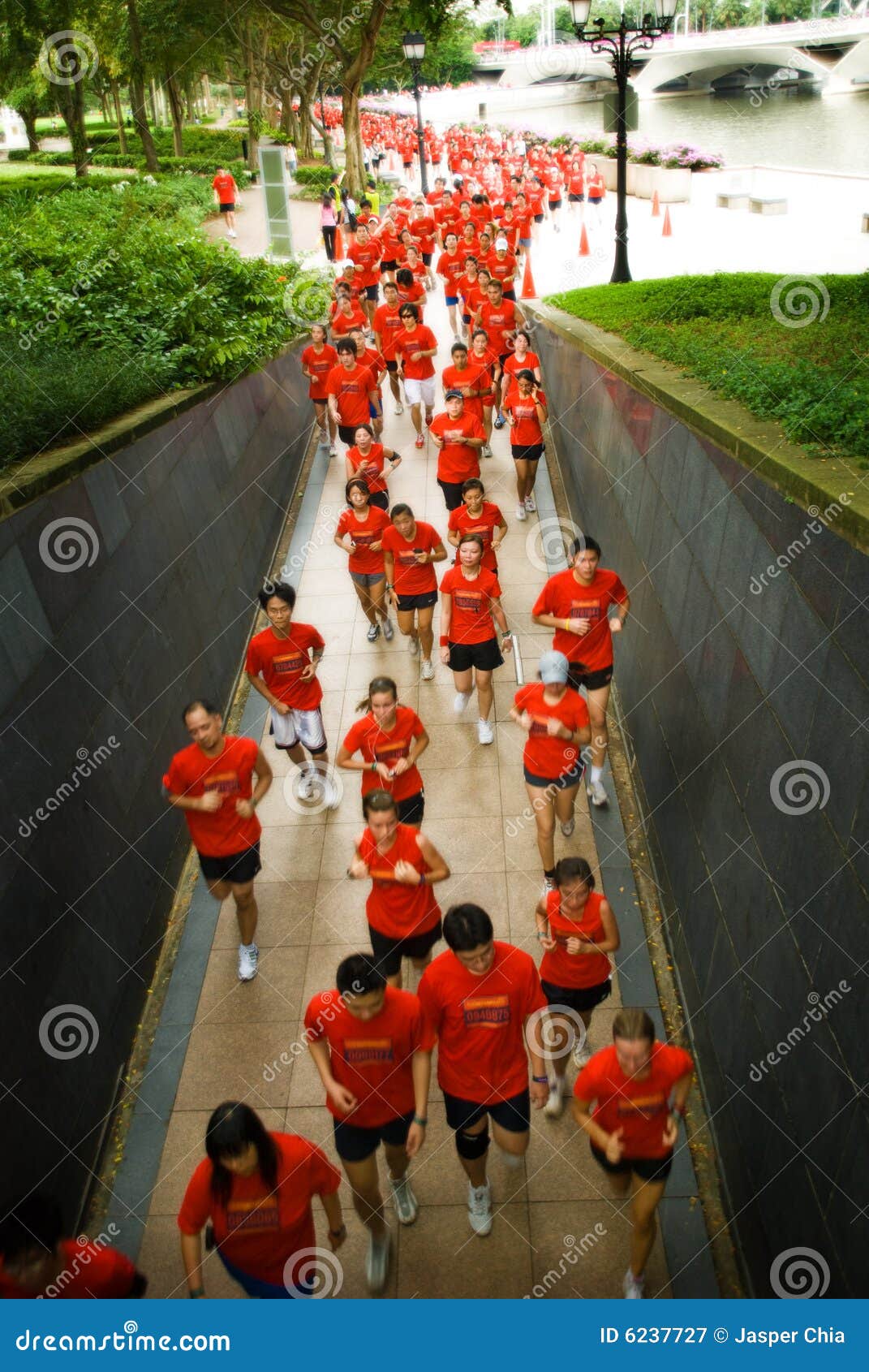 Runners racing in red tops editorial photography. Image of trail - 6237727