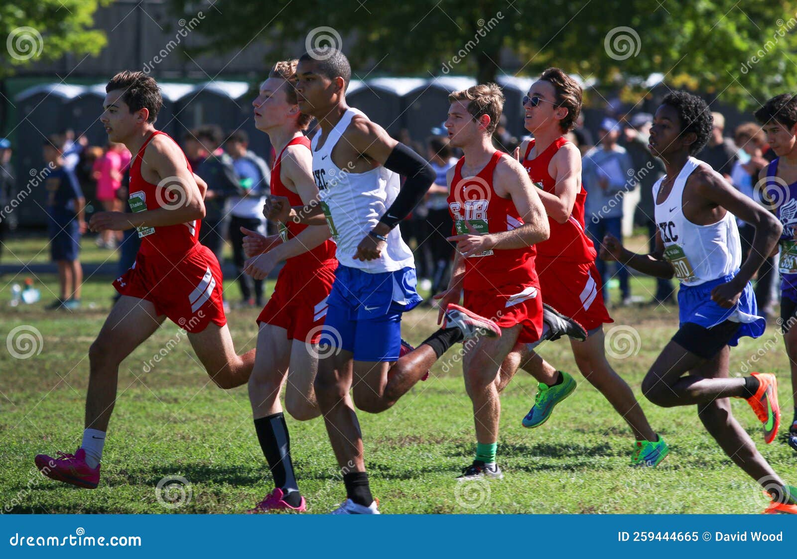 Runners at the Start of a Cross Country Race Editorial Image - Image of ... Runners at the Start of a Cross Country Race Editorial Image - Image of ...
