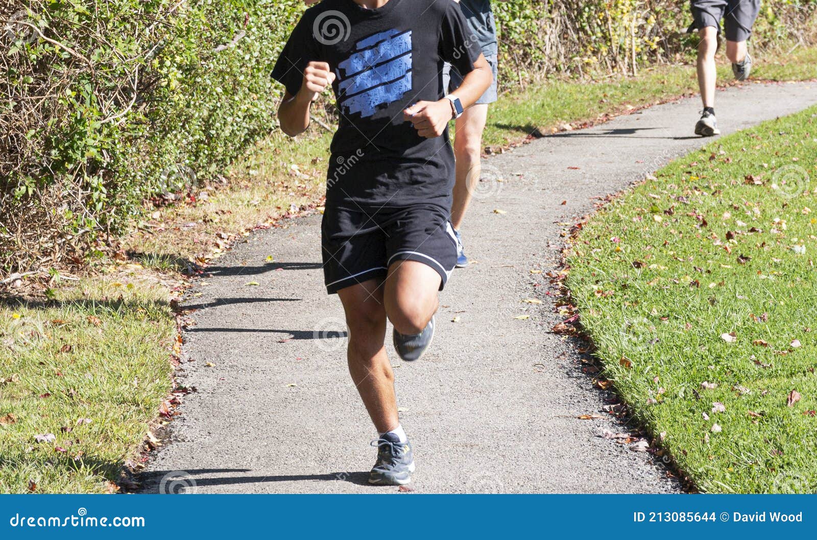 Runners on a tar path stock photo. Image of park, aerobic - 213085644