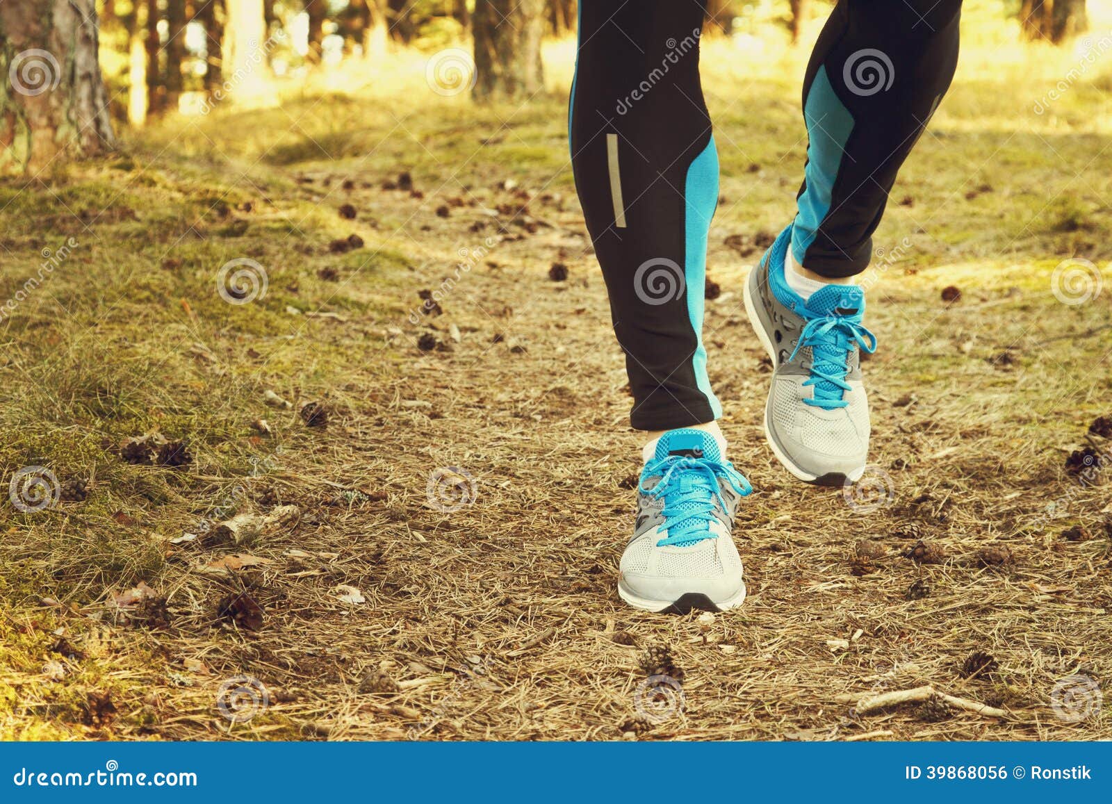 Running Along the Forest Trail Stock Photo - Image of bush, lifestyle ...