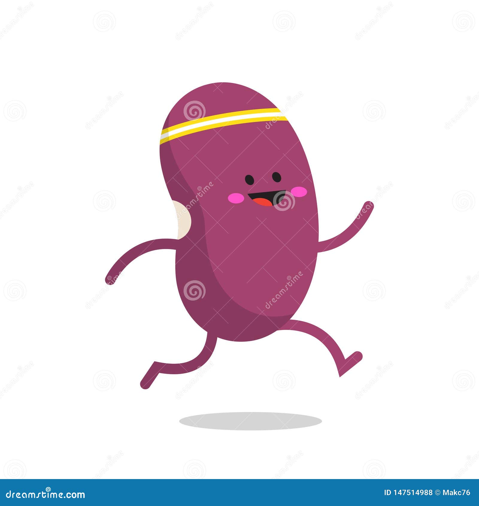 Runner Beans Isolated On White. Phaseolus Coccineus, Known As Scarletr ...