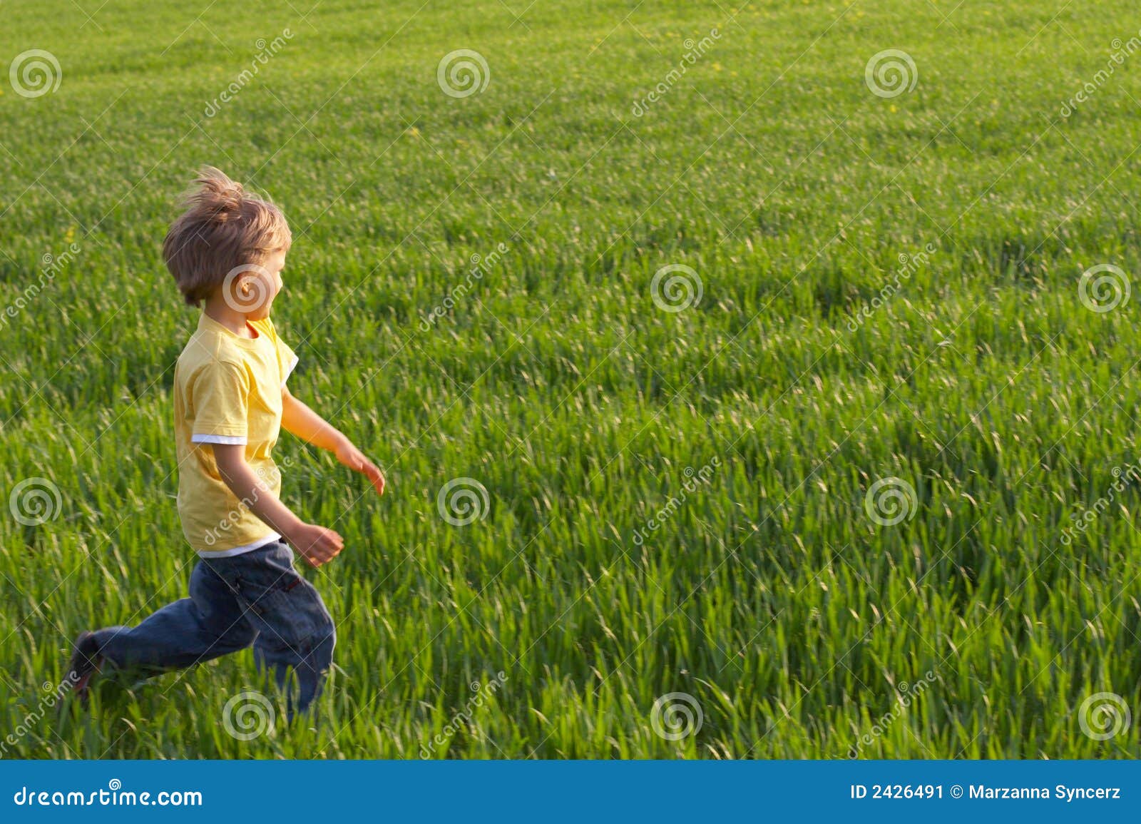 Running Boy stock image. Image of pasture, green, young - 2426491