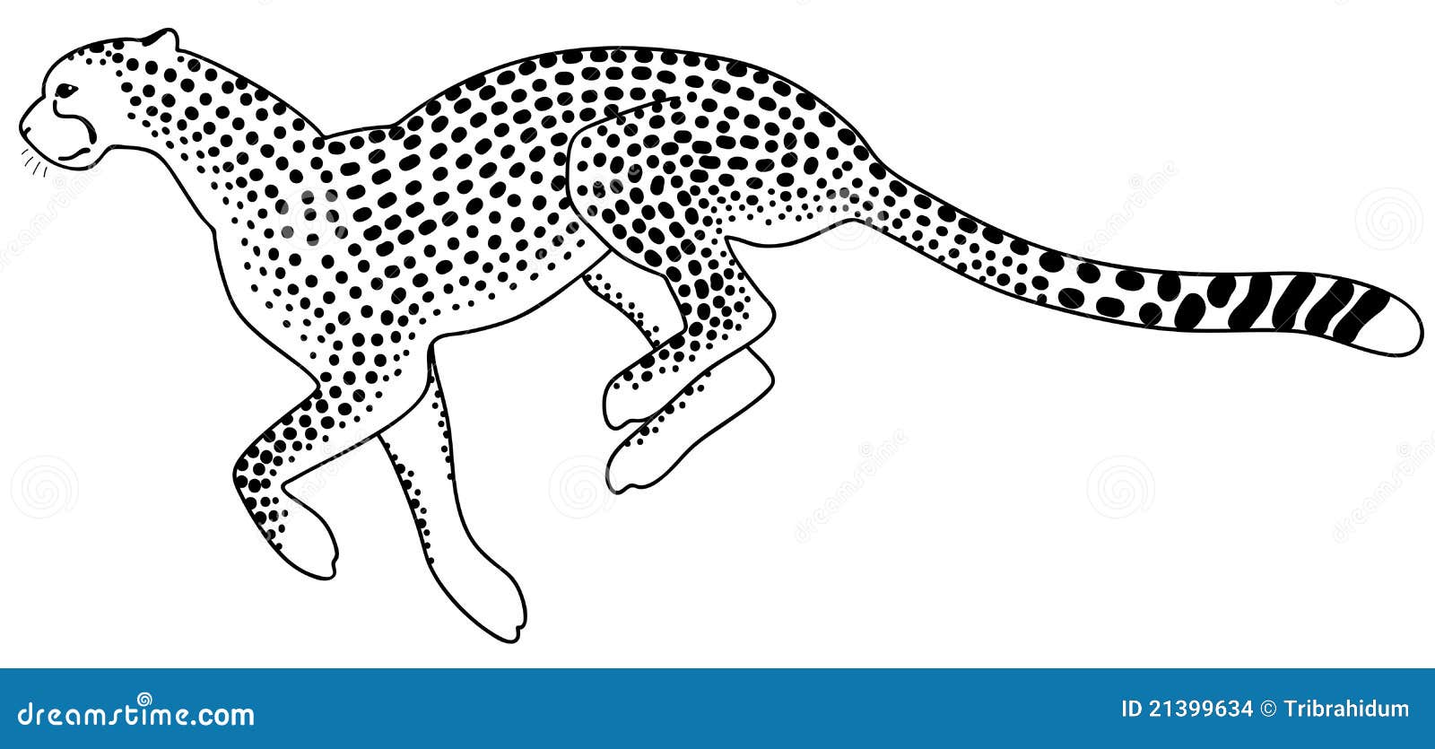 Leopard Running Drawing