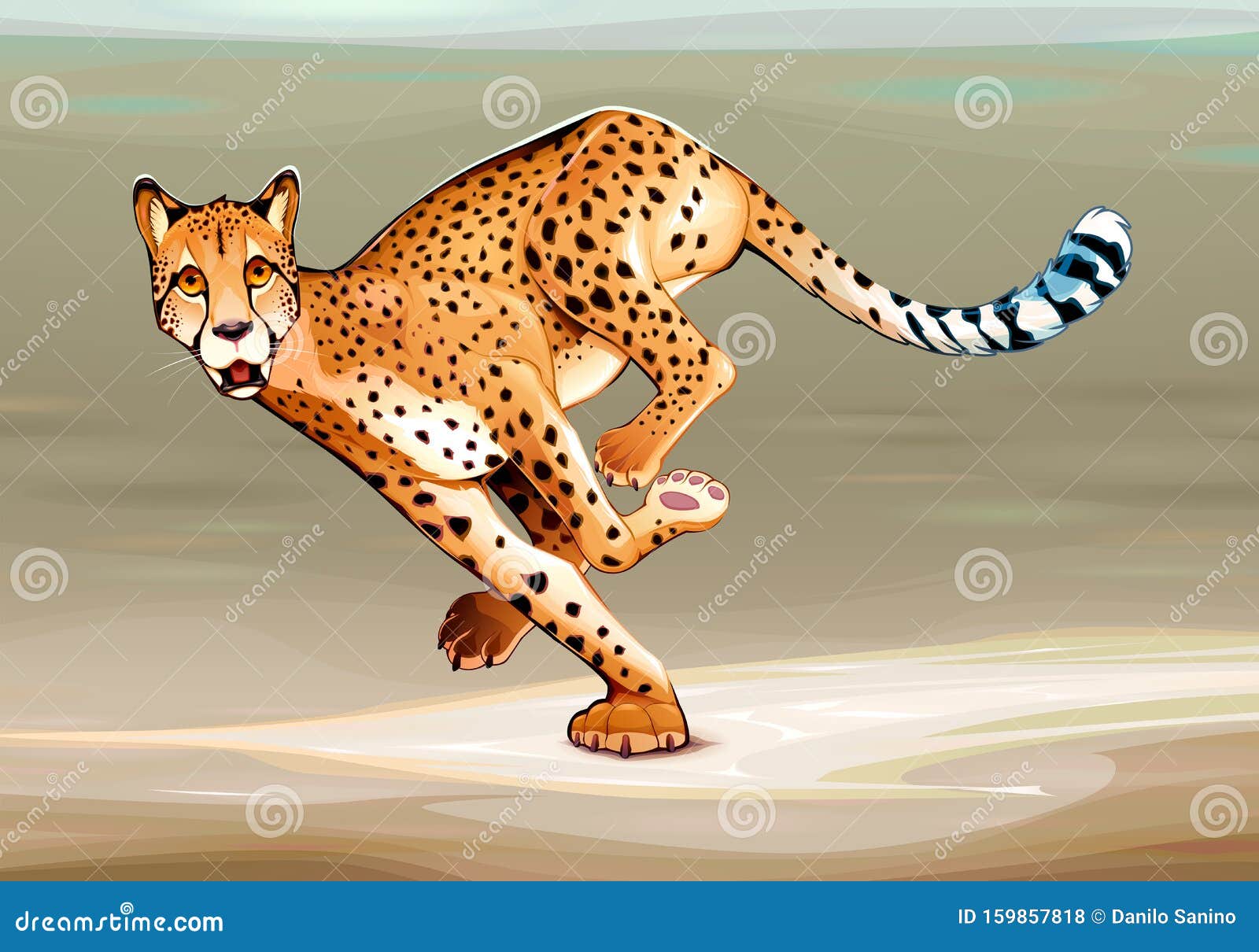 Running Cheetah in the Savannah Stock Vector - Illustration of scene ...