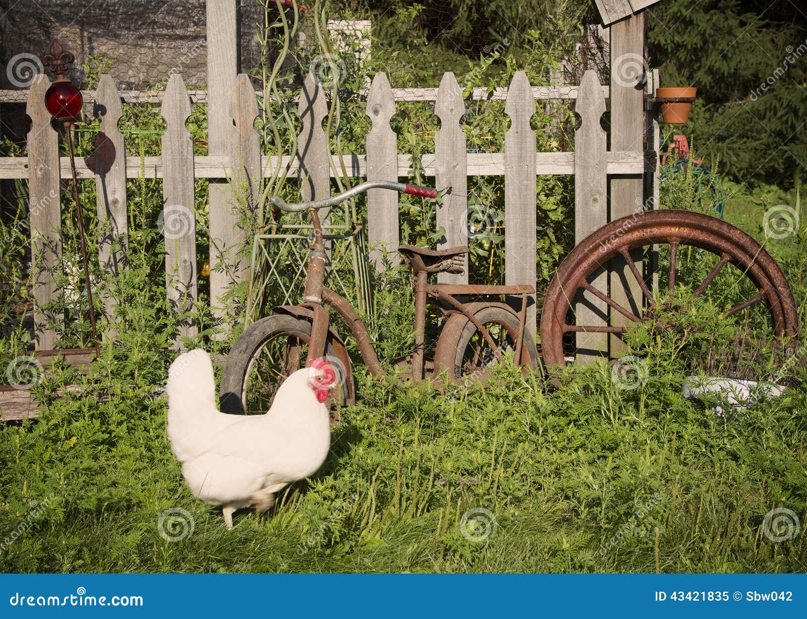 Running Chicken stock image. Image of antique, iron, garden - 43421835