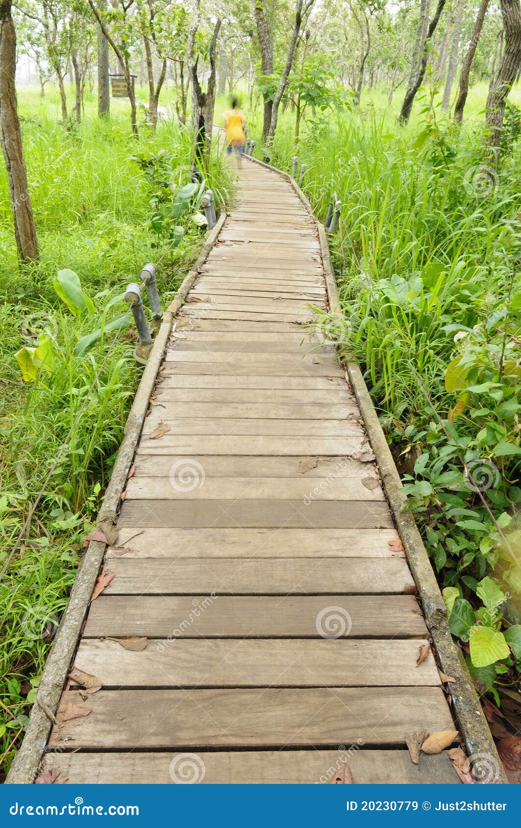 Running Children Rush on Pathway with Motion Blur Stock Image - Image ...