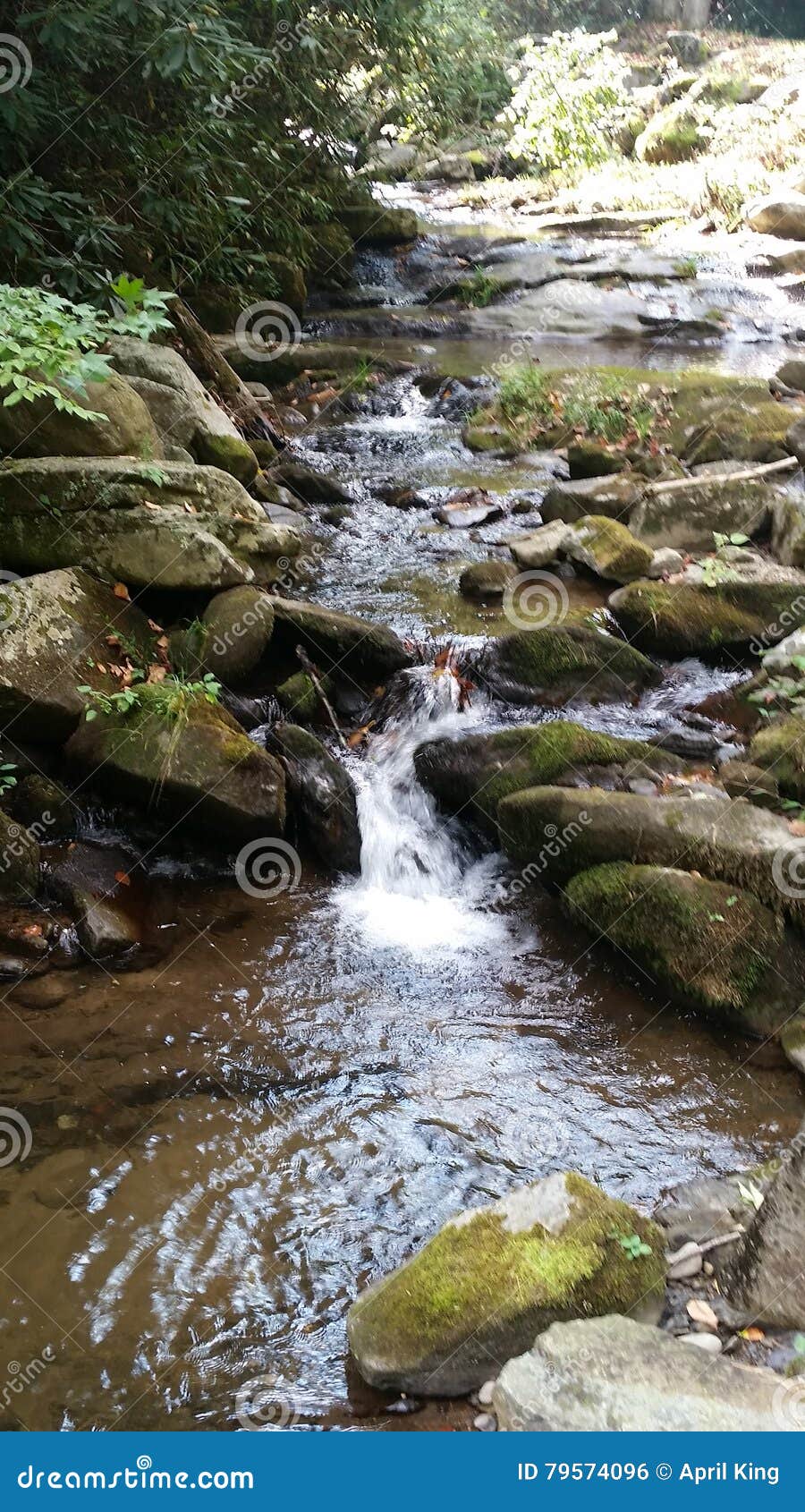 Running creek stock photo. Image of landscape, running - 79574096