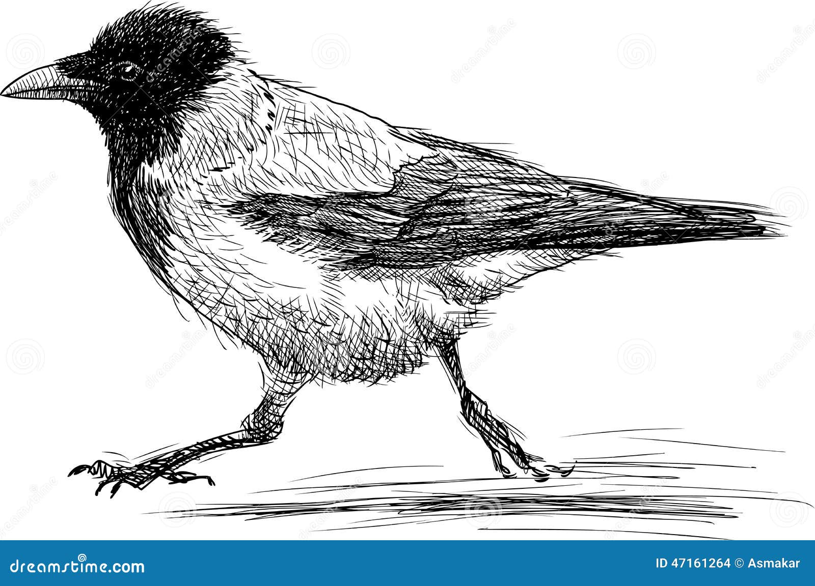 Running crow stock vector. Illustration of profile, vector - 47161264