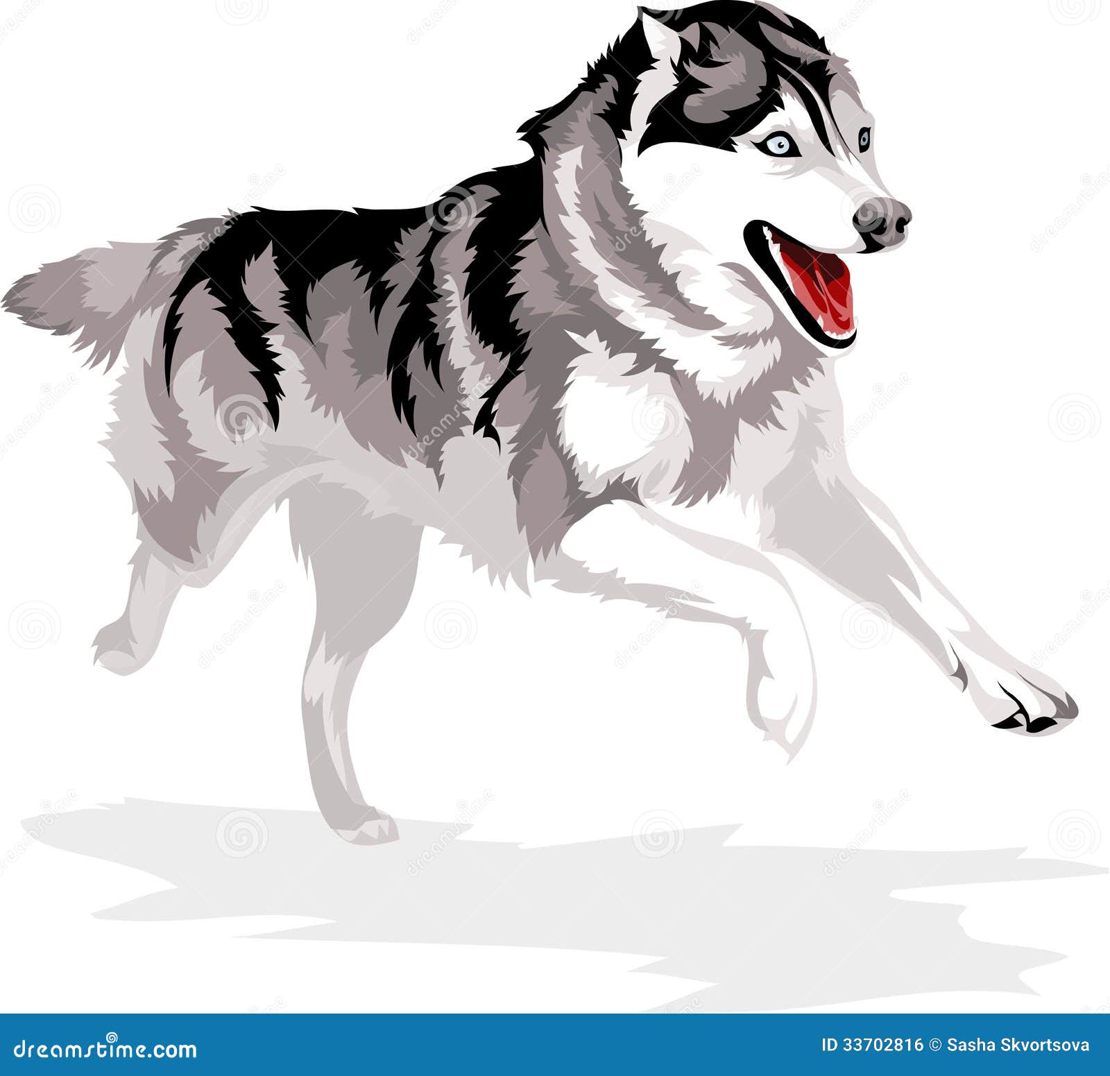 Husky Running Sketch