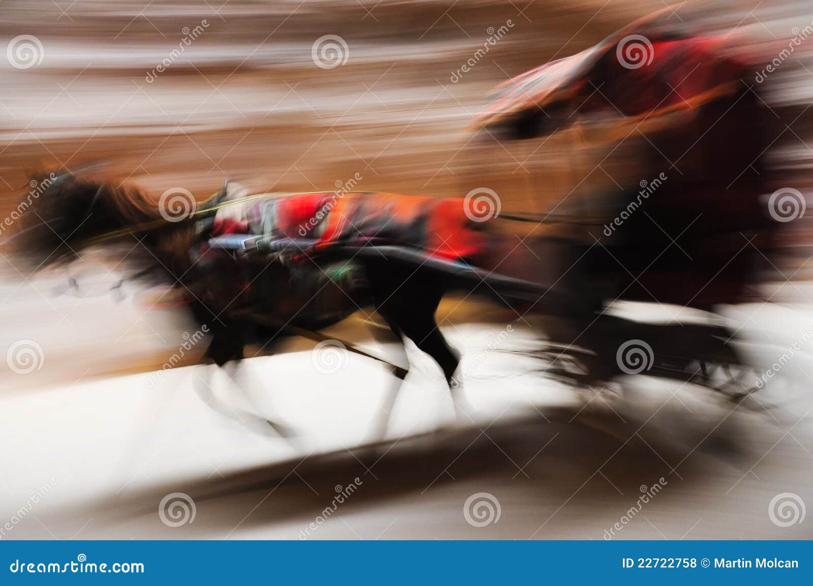 Running Donkey Carriage Panning Stock Photo - Image of donkey, speed ...