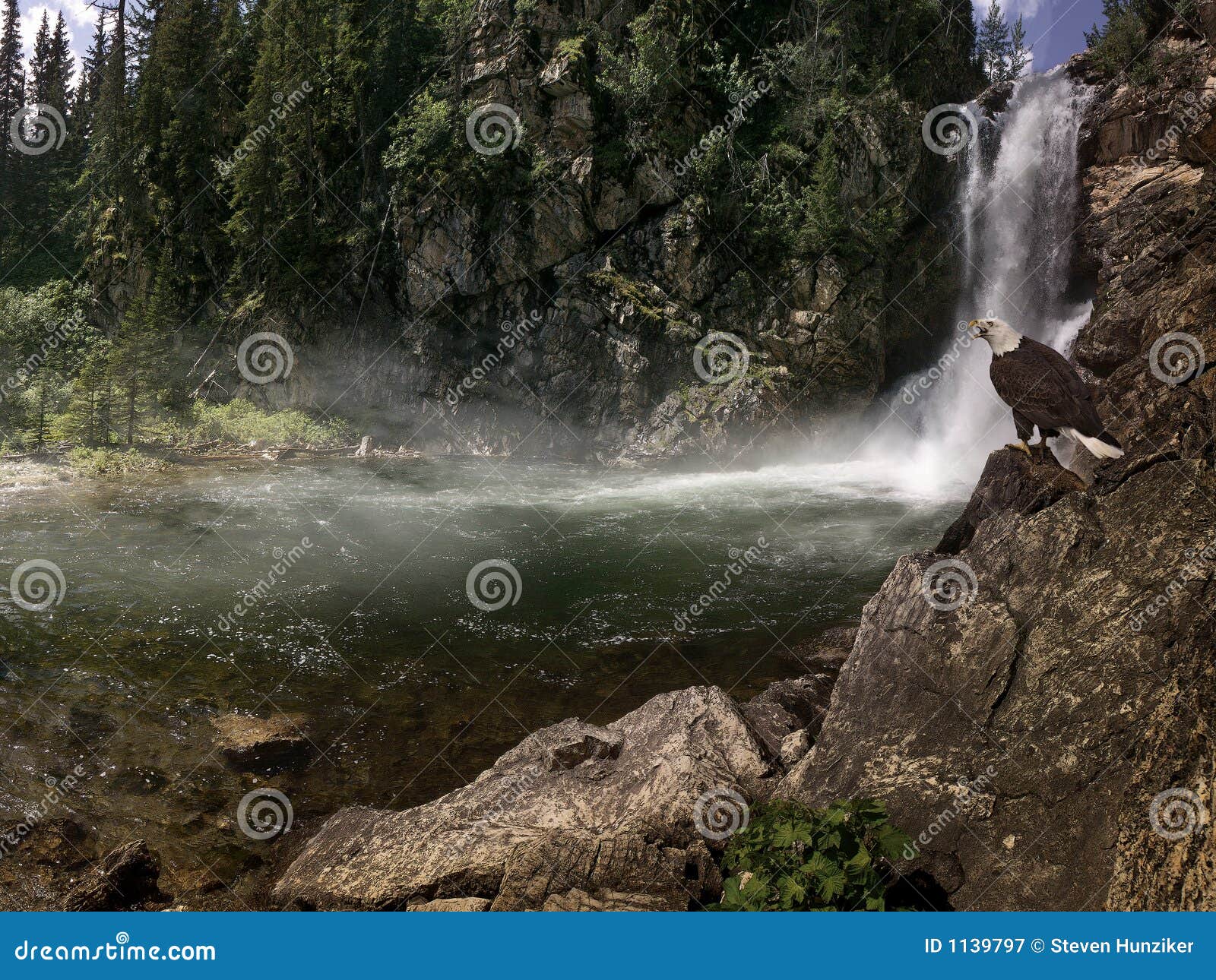 Running Eagle Falls stock image. Image of bird, trees - 1139797