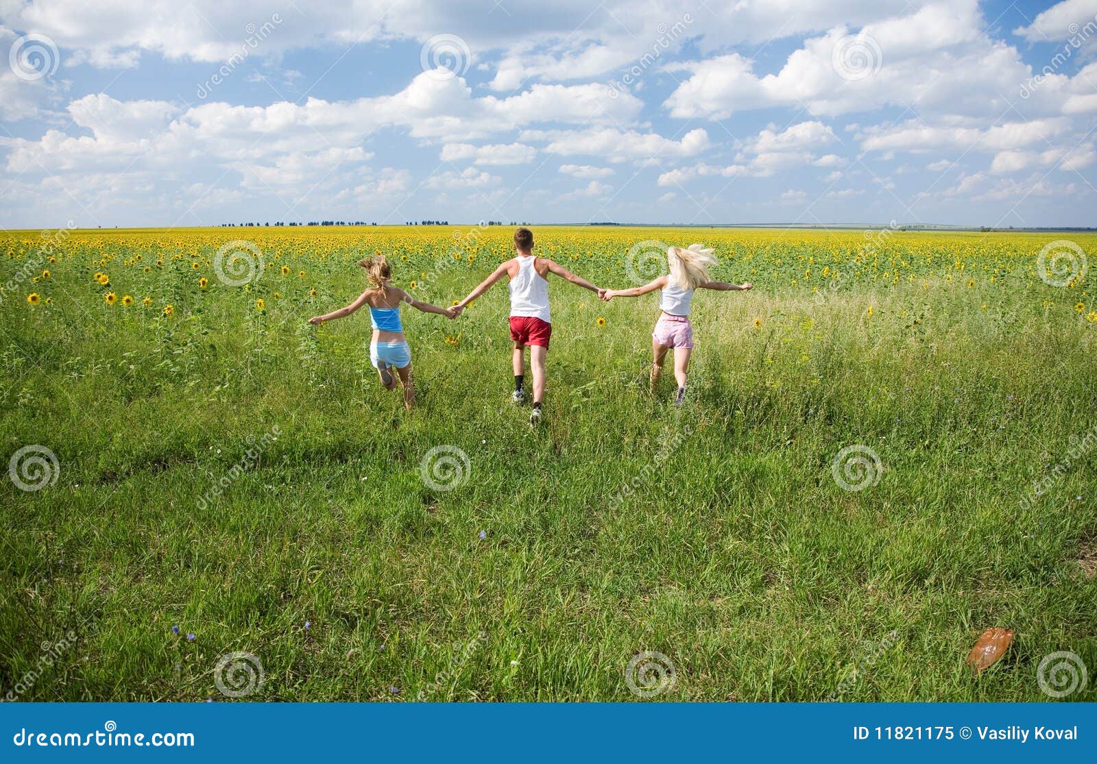 Running in the field stock image. Image of blue, plant - 11821175