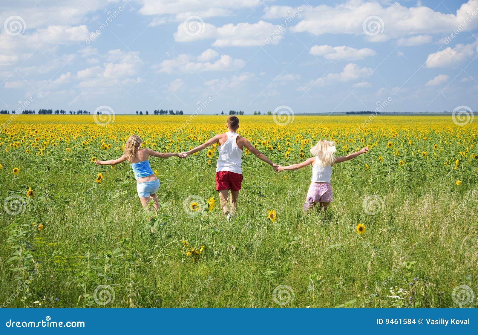 Running in the field stock photo. Image of blond, agriculture - 9461584