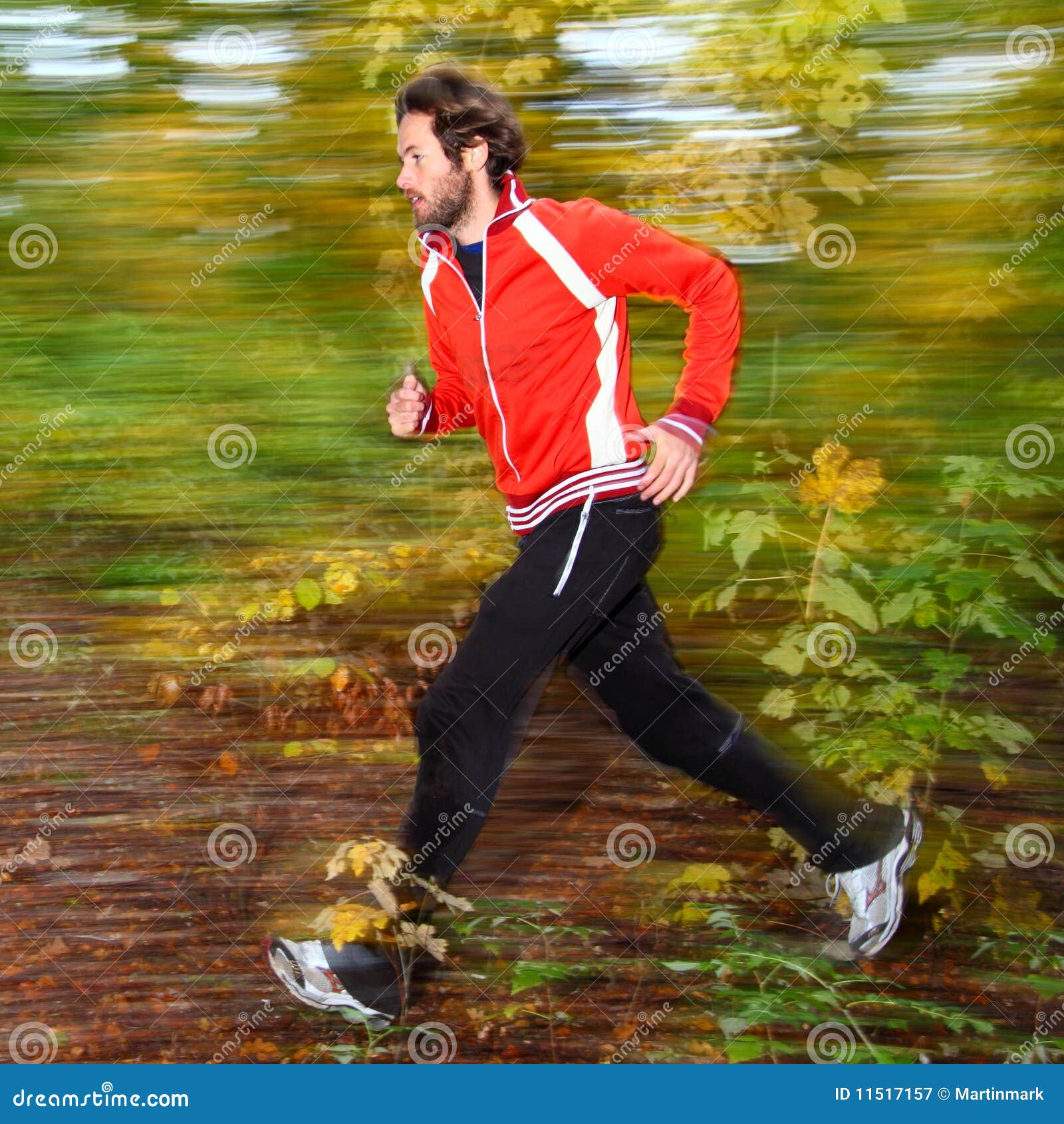 Running in the forest stock image. Image of adult, fall - 11517157