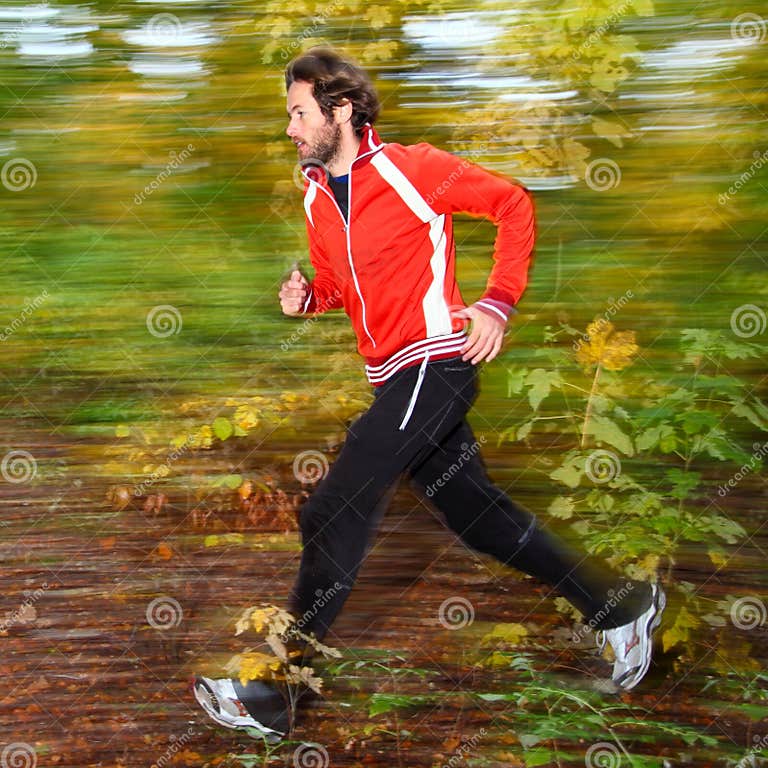 Running in the forest stock image. Image of adult, fall - 11517157