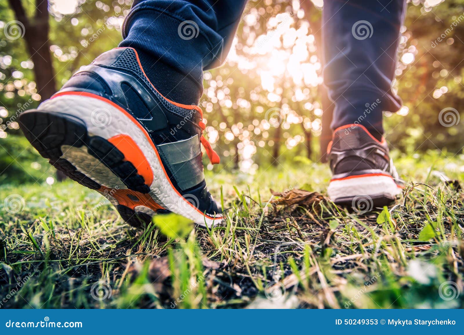 Running in the Forest Trail Stock Image - Image of forest, adventure ...