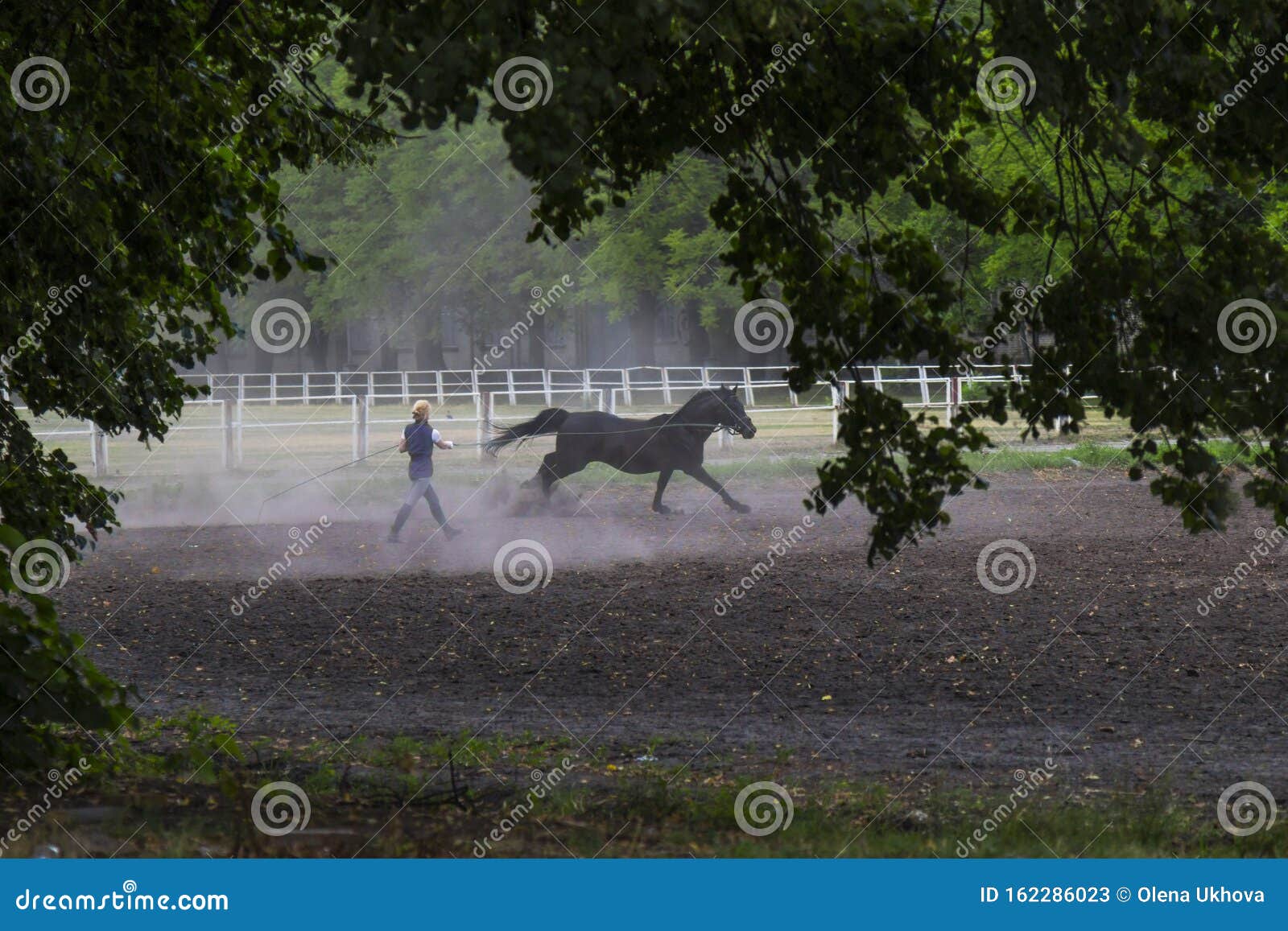 Running Horse With Rider On Racecourse Editorial Image | CartoonDealer ...