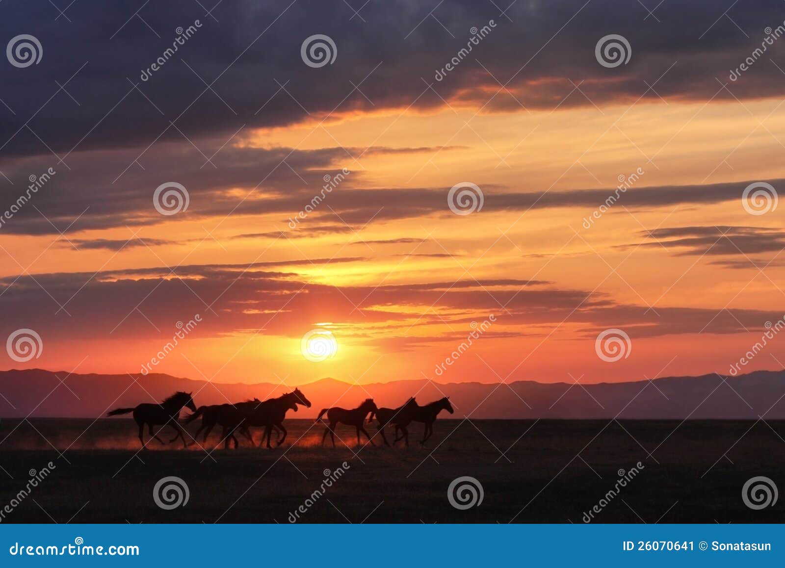 Running Horses Royalty-Free Stock Photography | CartoonDealer.com #26070641