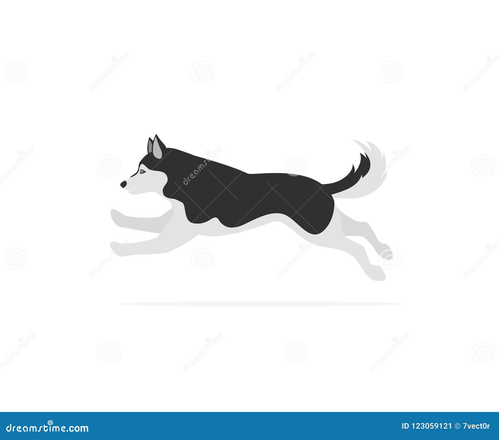 Running Jumping Husky Isolated Vector Stock Vector - Illustration of ...