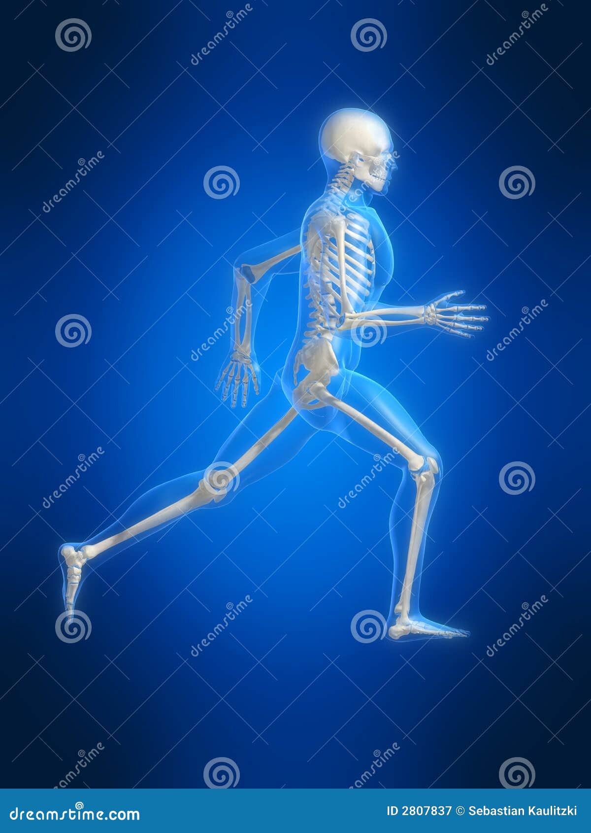 Running man anatomy stock illustration. Illustration of pain - 2807837