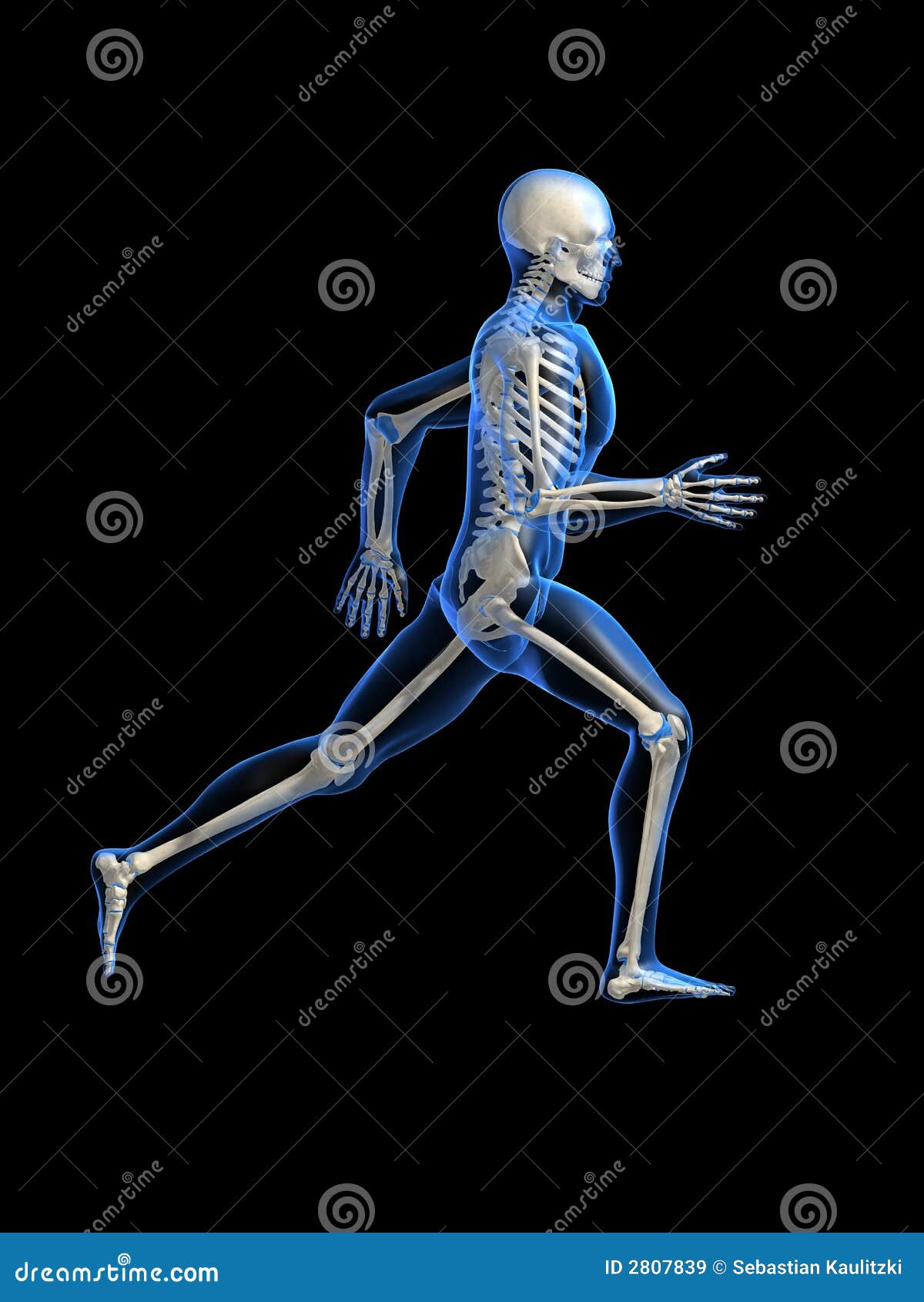 Running man anatomy stock illustration. Illustration of endurance - 2807839