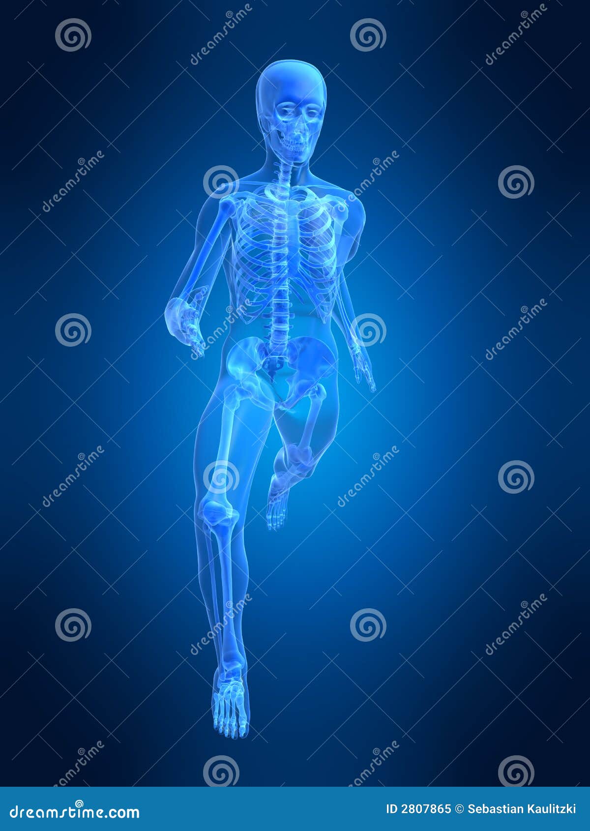 Running man anatomy stock illustration. Illustration of medicine - 2807865