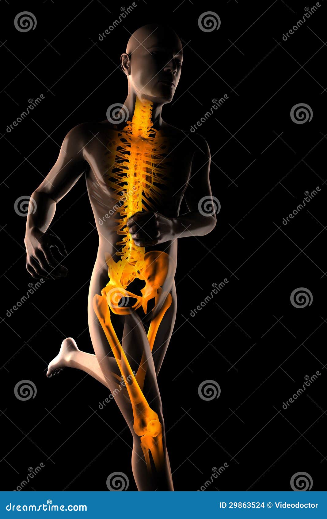 F1 Car Radiography Stock Photography | CartoonDealer.com #125653466