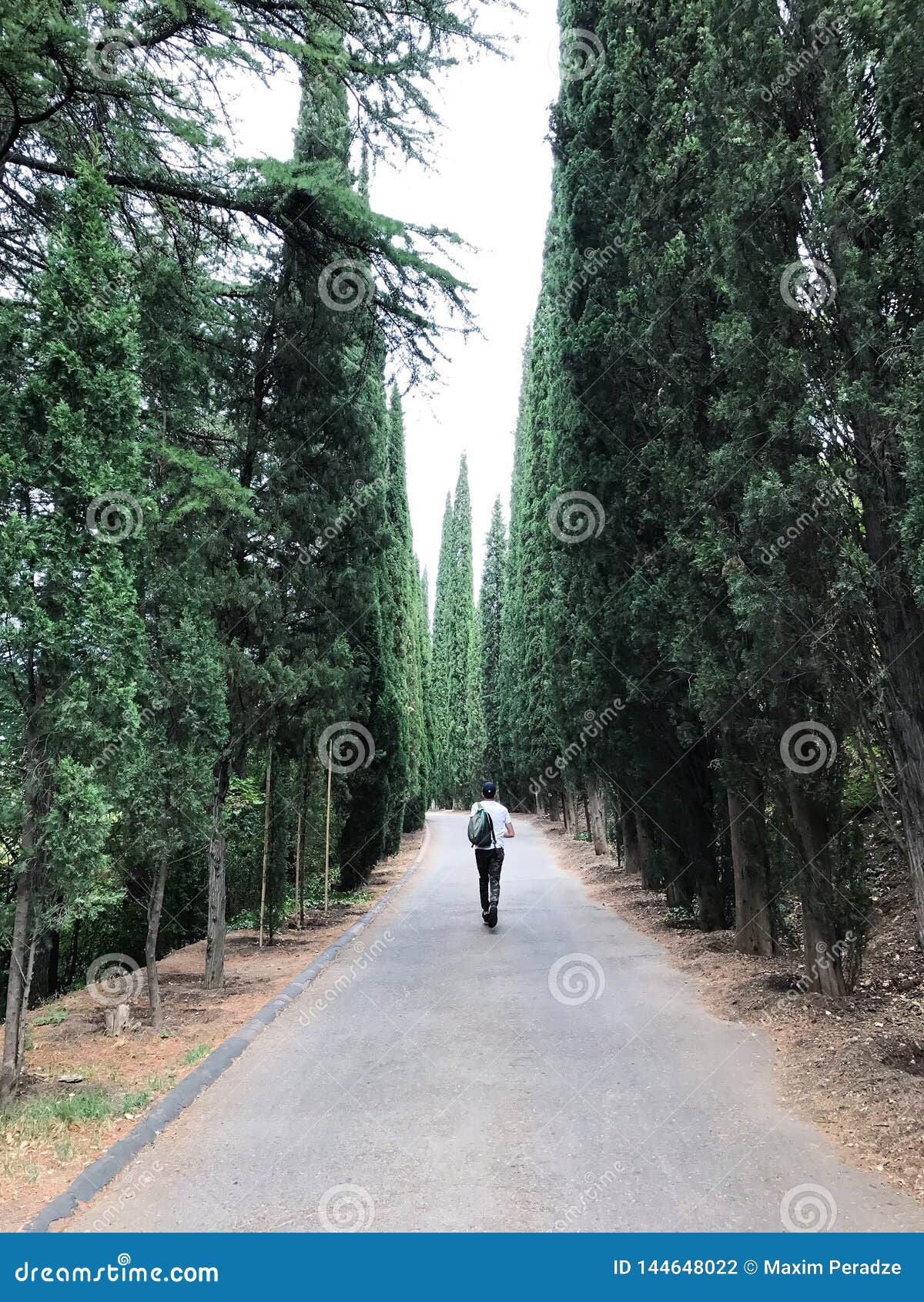 Running man stock photo. Image of running, trees, path - 144648022