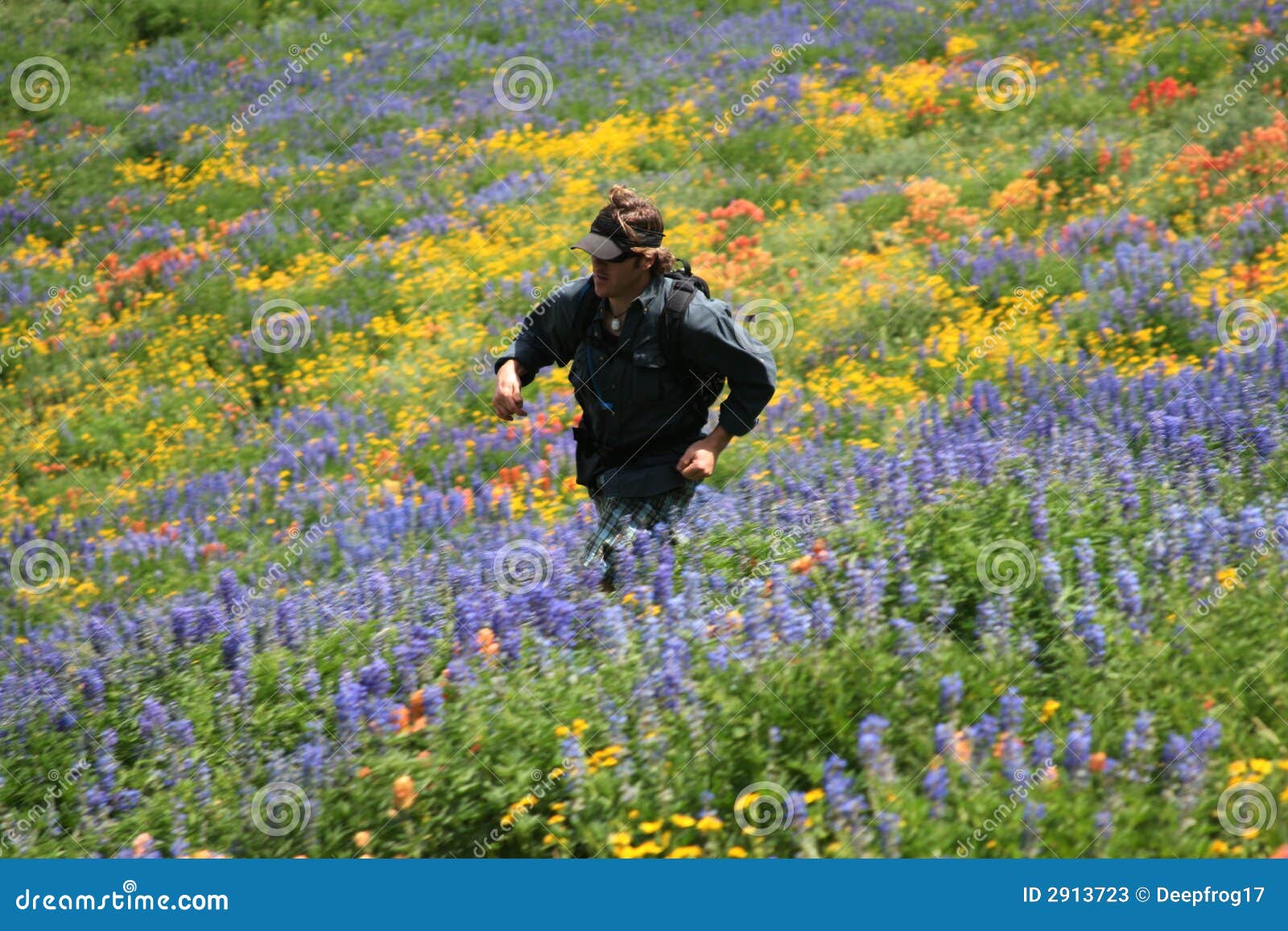 Running through the meadow stock image. Image of step - 2913723