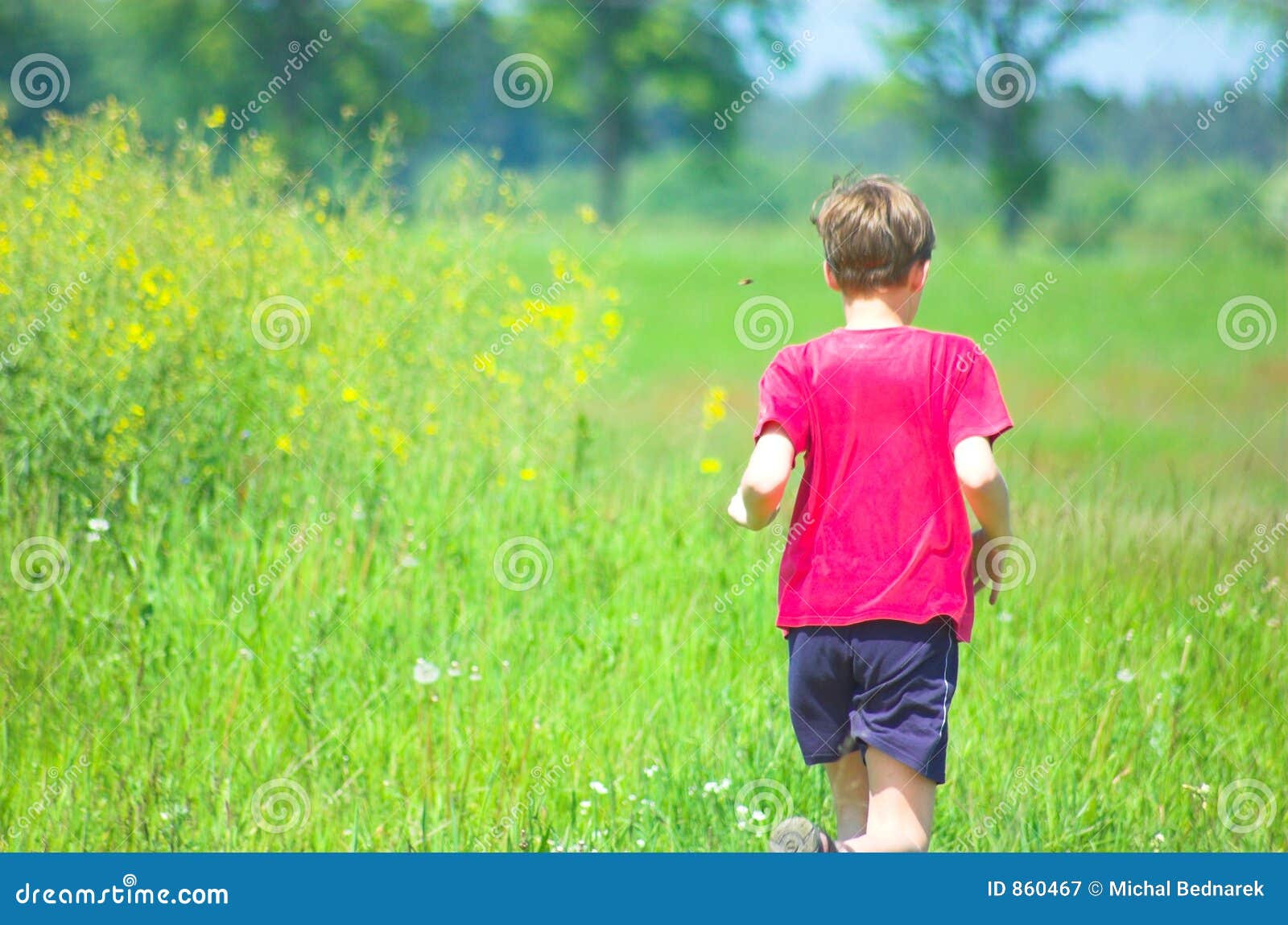 Running through the meadow stock image. Image of love, outdoors - 860467