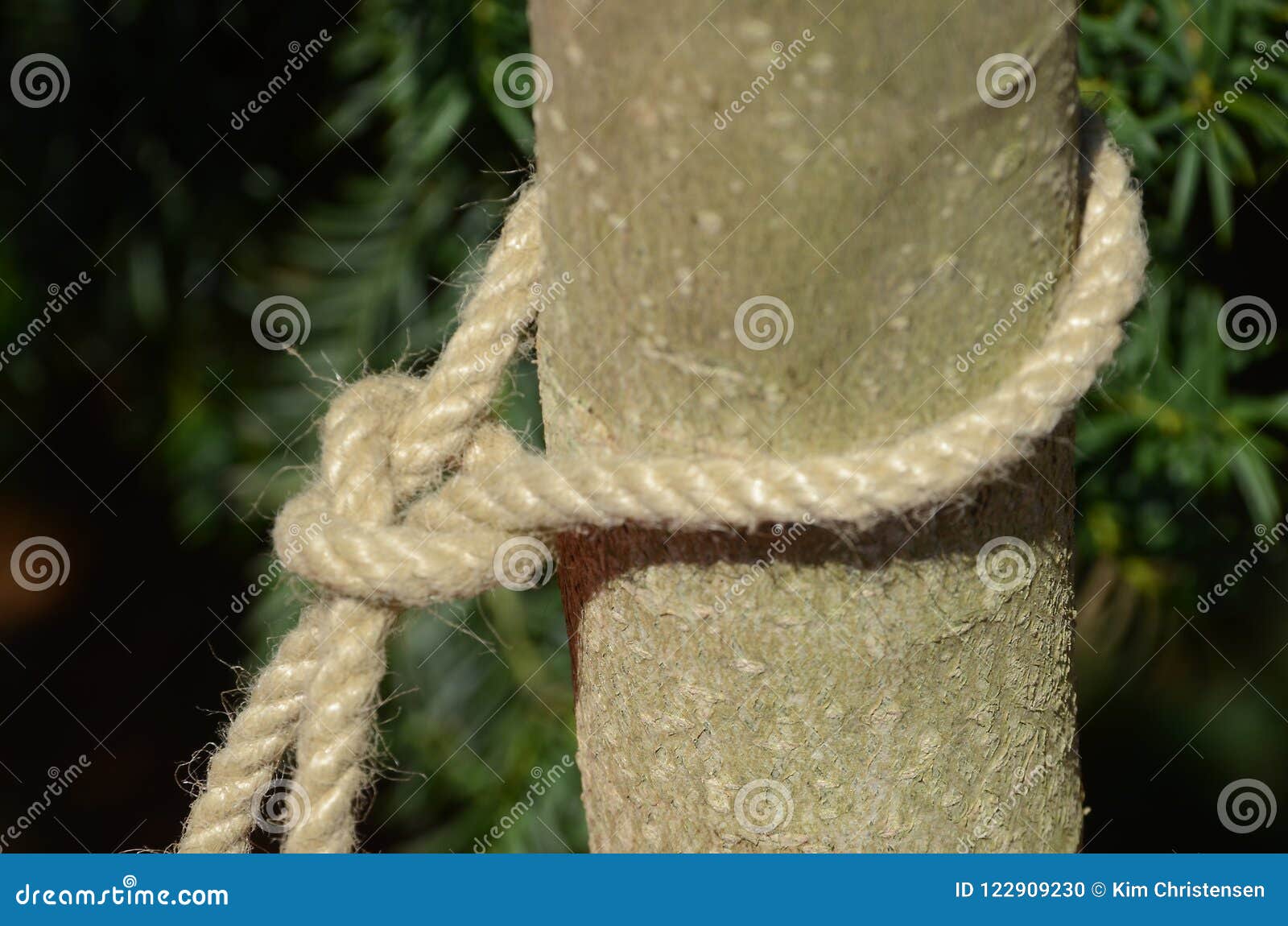 Noose Knot Royalty-Free Stock Image | CartoonDealer.com #9752104