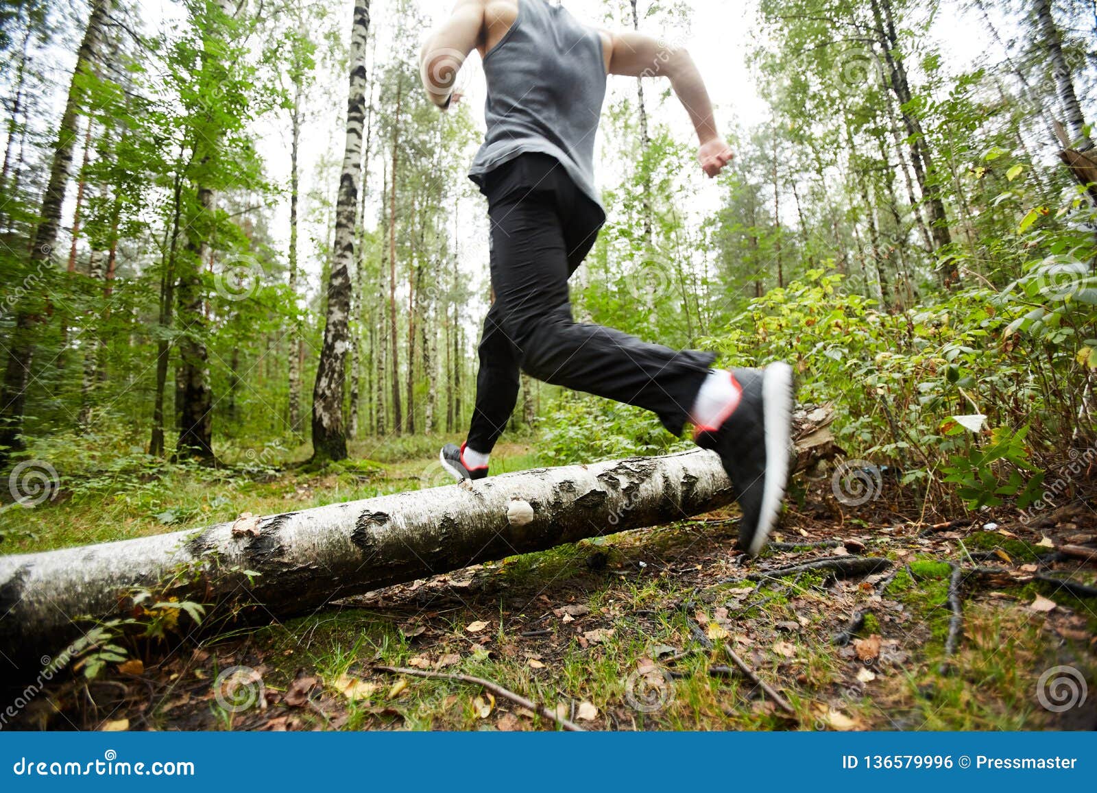 Running over birch log stock photo. Image of activity - 136579996