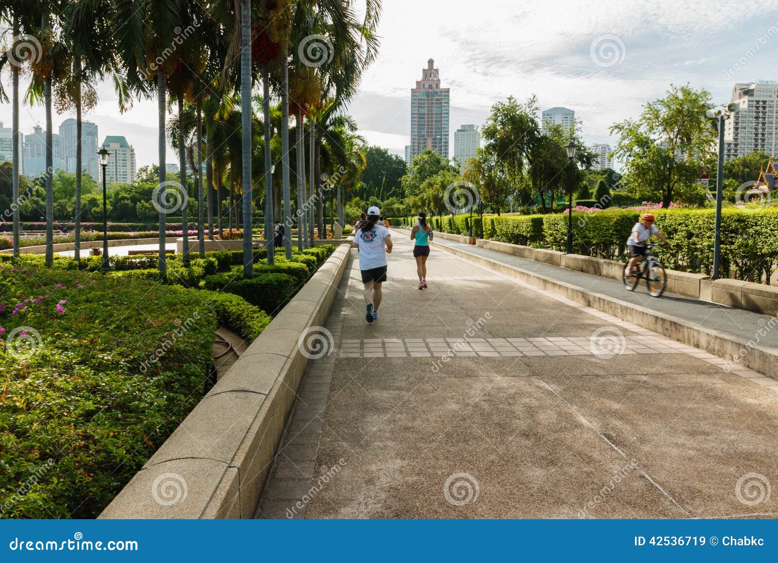 Running in the park editorial stock image. Image of park - 42536719
