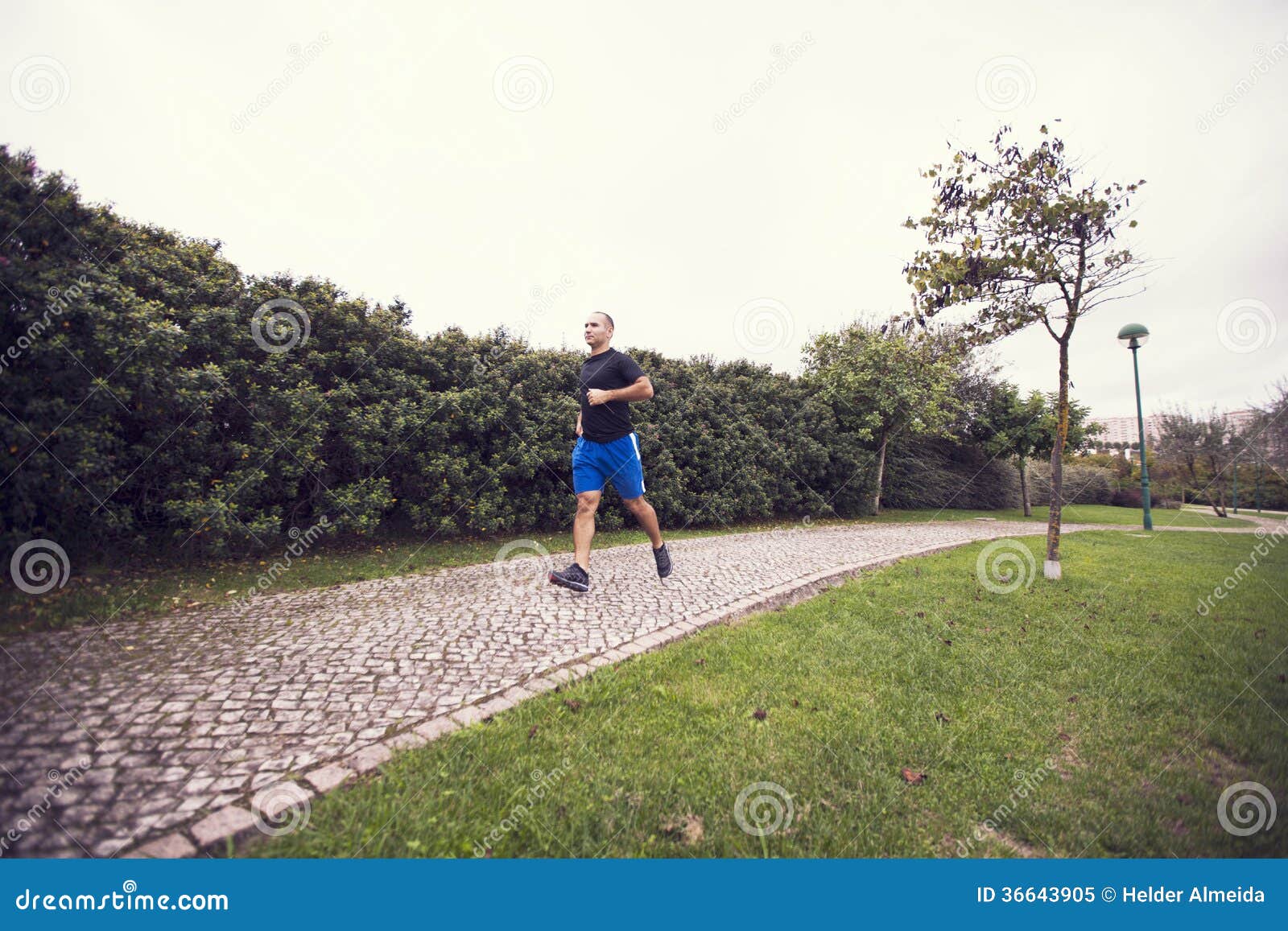 Running at the park stock image. Image of movement, motion - 36643905