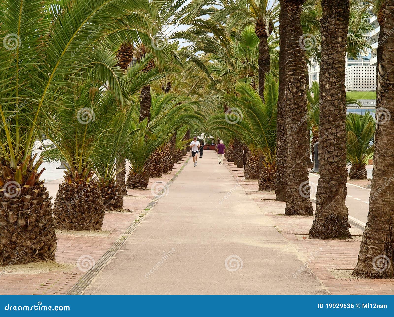 Running path. stock photo. Image of athletic, foot, legs - 19929636