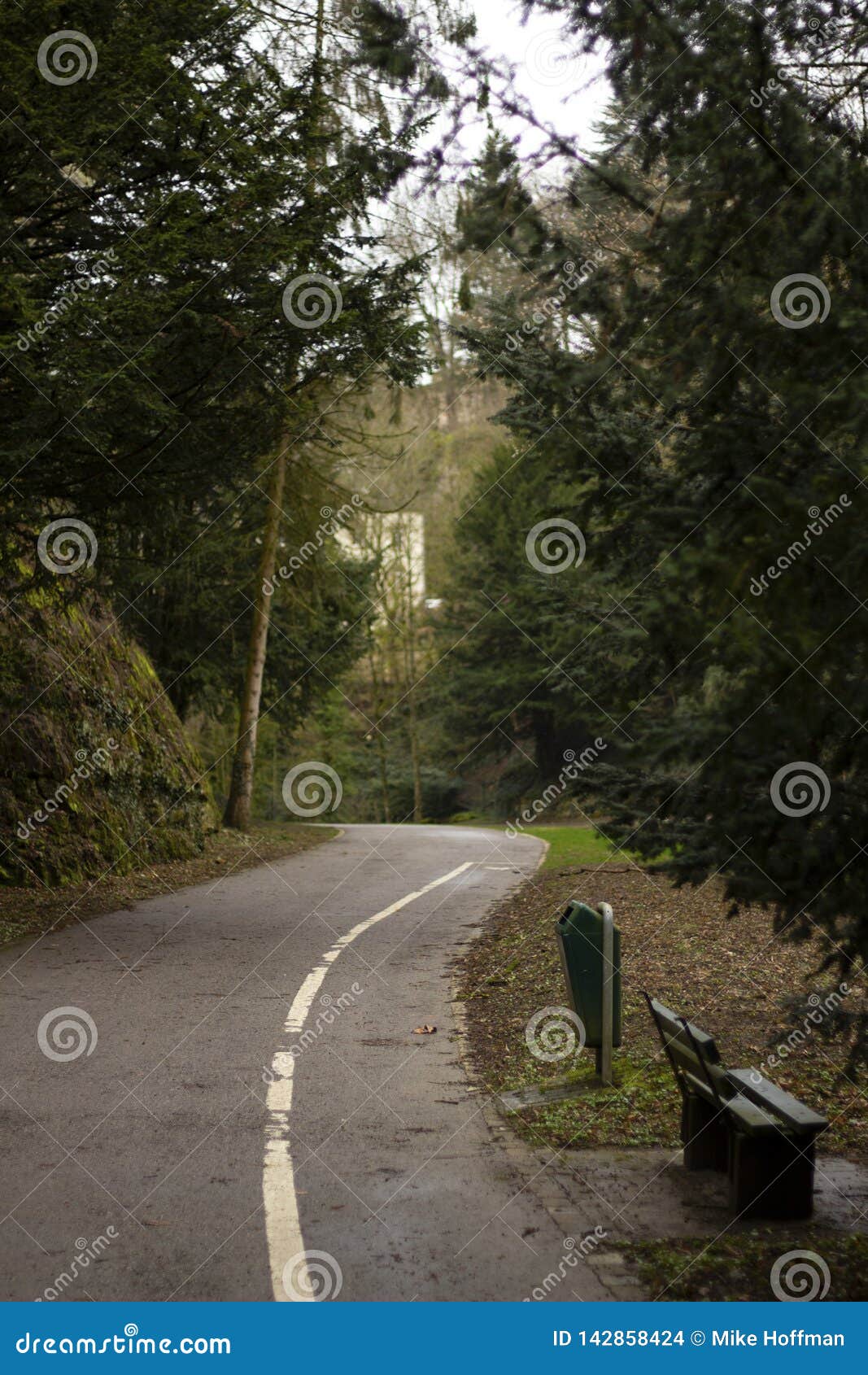 Running Path through the Woods Stock Photo - Image of peaceful, nature ...