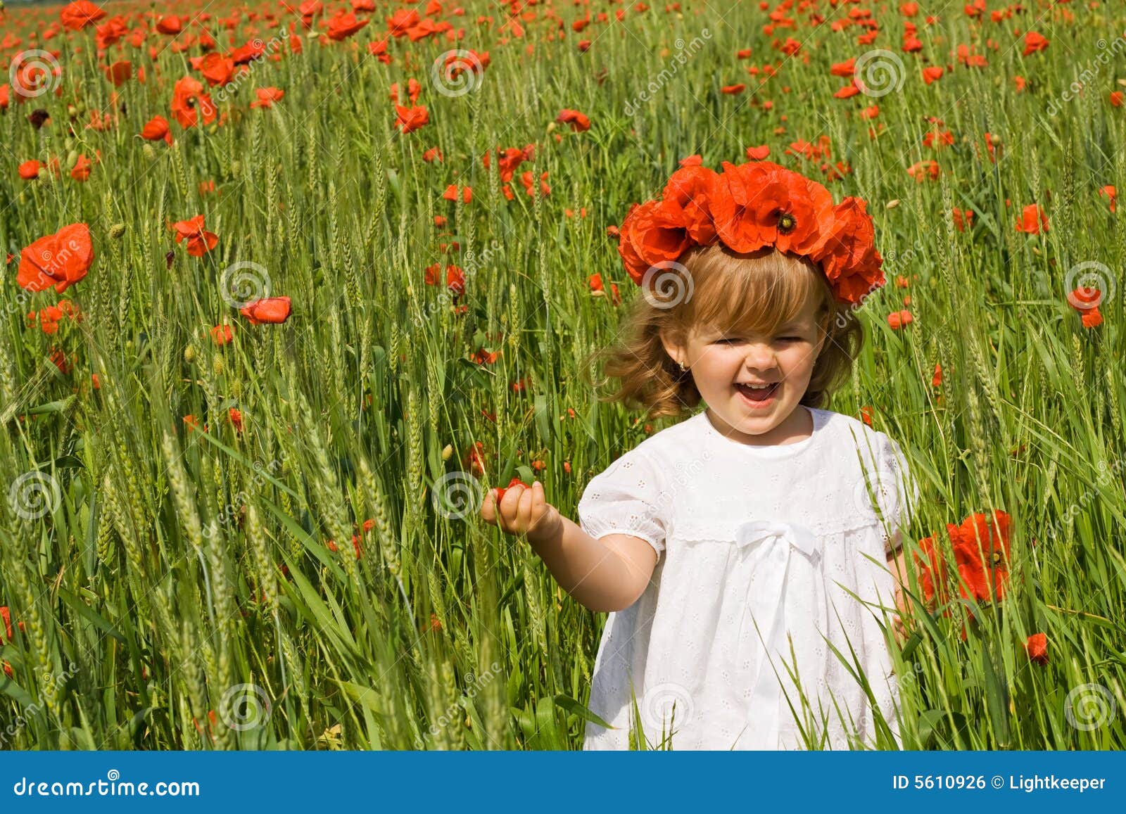 Running on the poppy field stock photo. Image of emotions - 5610926