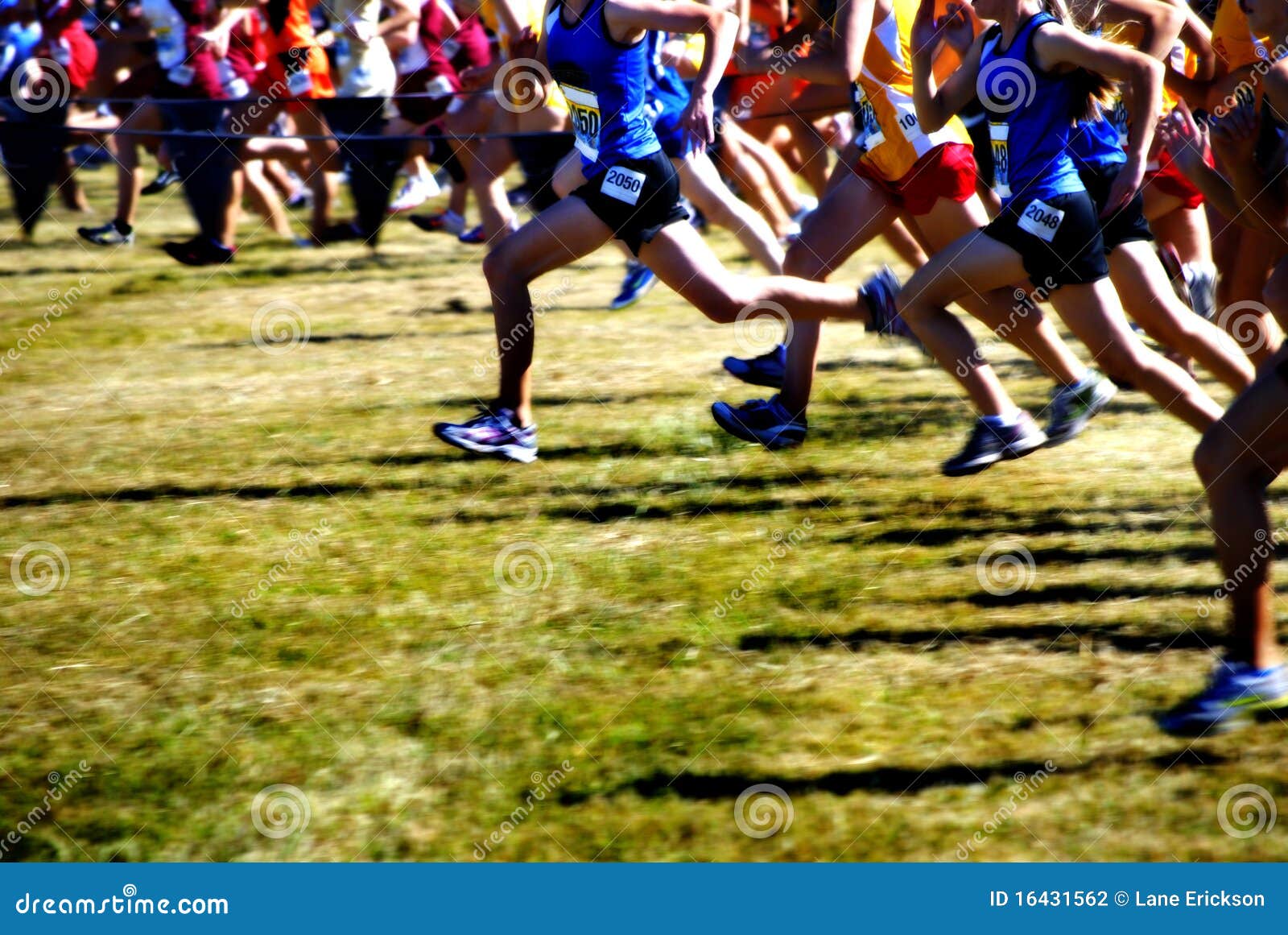 Running a Race stock photo. Image of race, paint, compete - 16431562