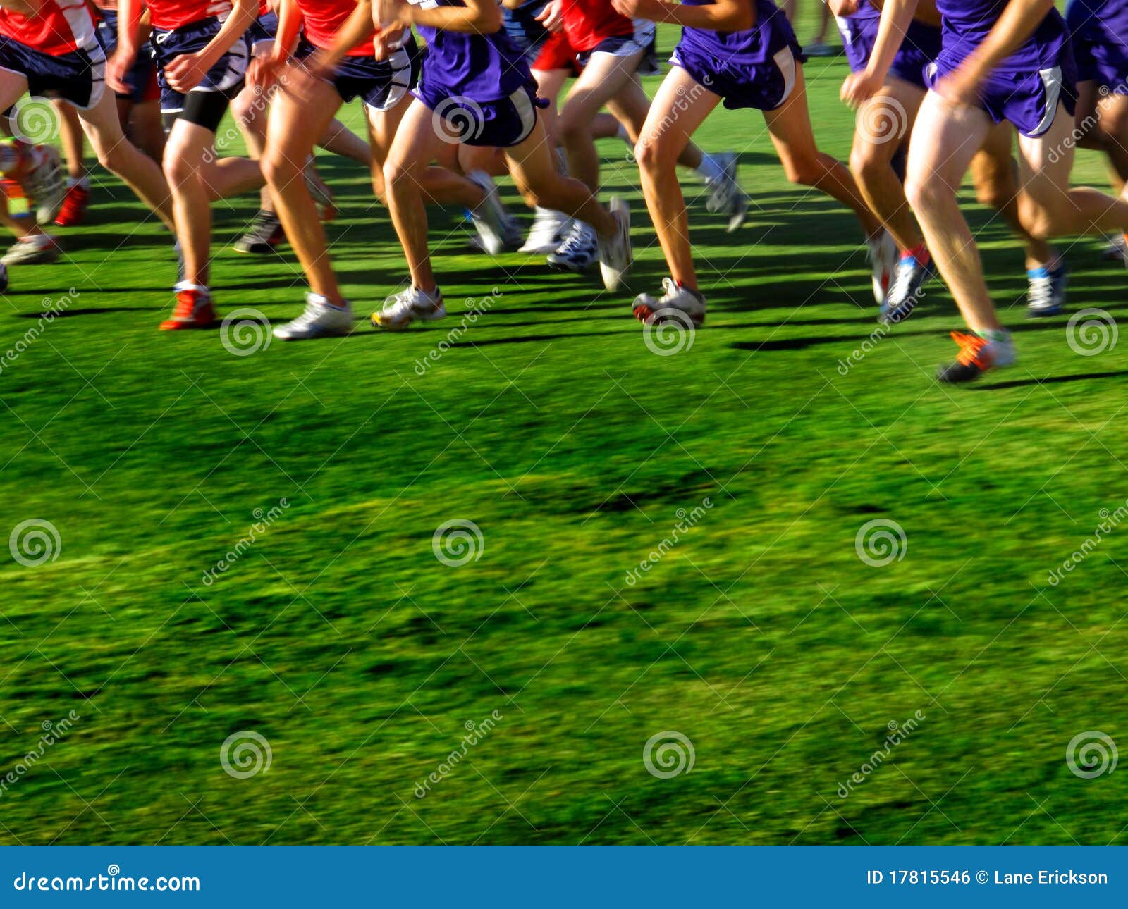 Running a Race stock photo. Image of texture, hard, shoes - 17815546