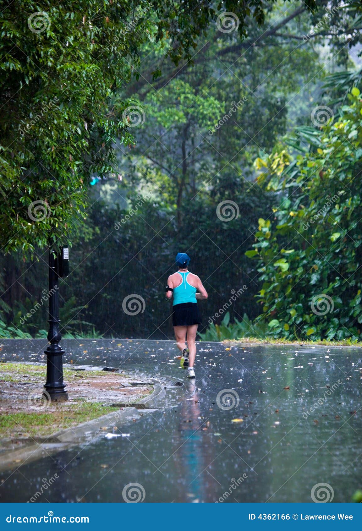 Running in the Rain stock photo. Image of trees, nature - 4362166