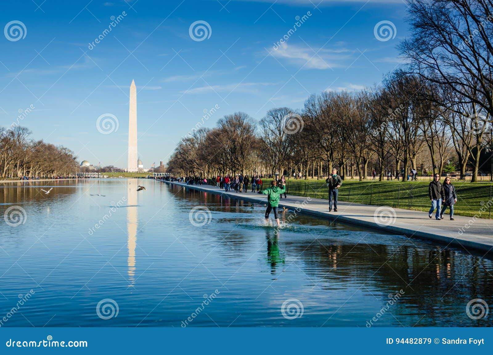 Running into Reflecting Pool - Washington DC Editorial Stock Image ...