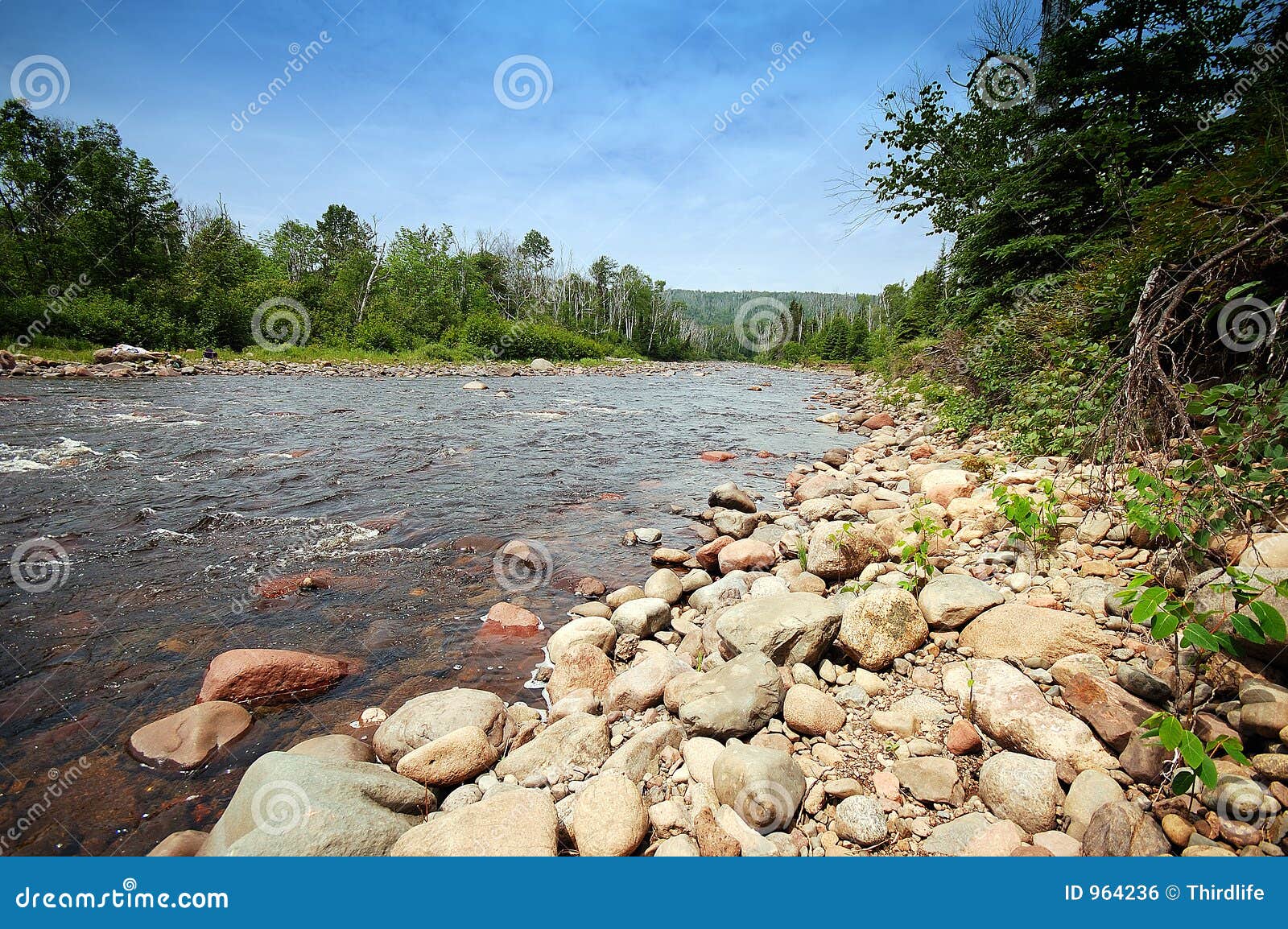 Running River stock photo. Image of shoreline, trout, northern - 964236