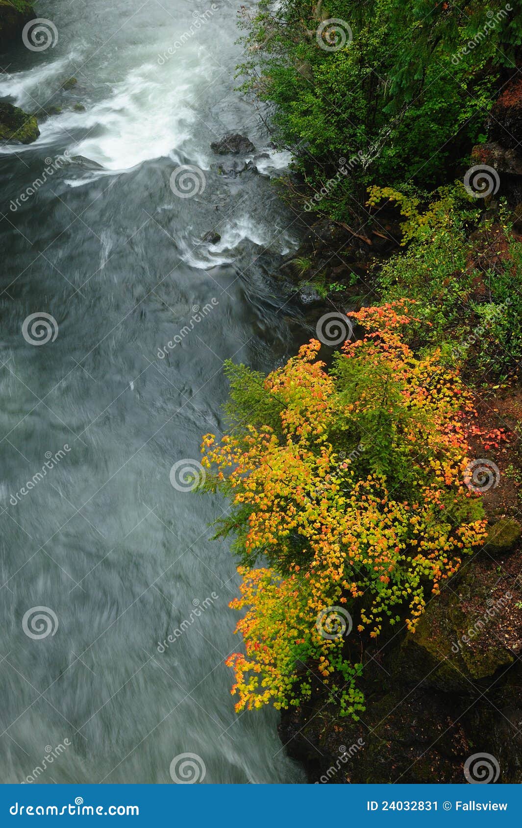 Running River and Autumn Leaves Stock Image - Image of landscape ...