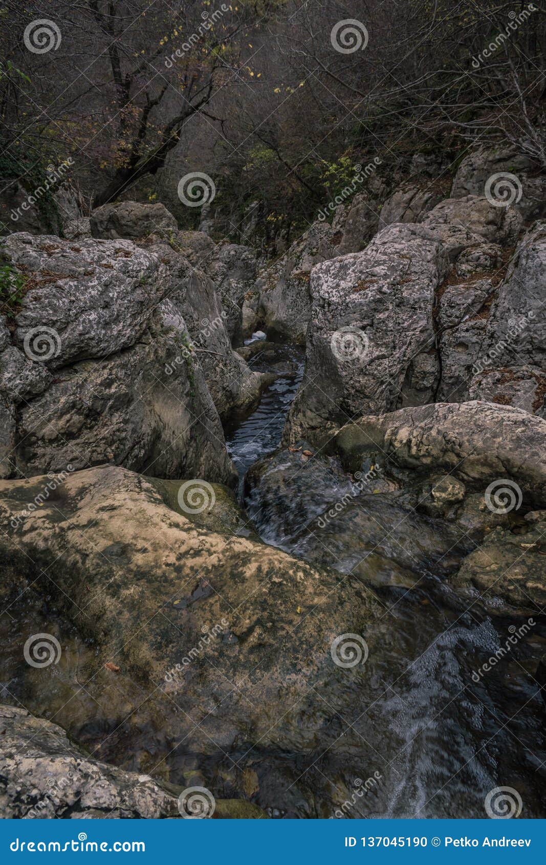 A Running River through the Rocks of the Mountain in Autumn. Stock ...